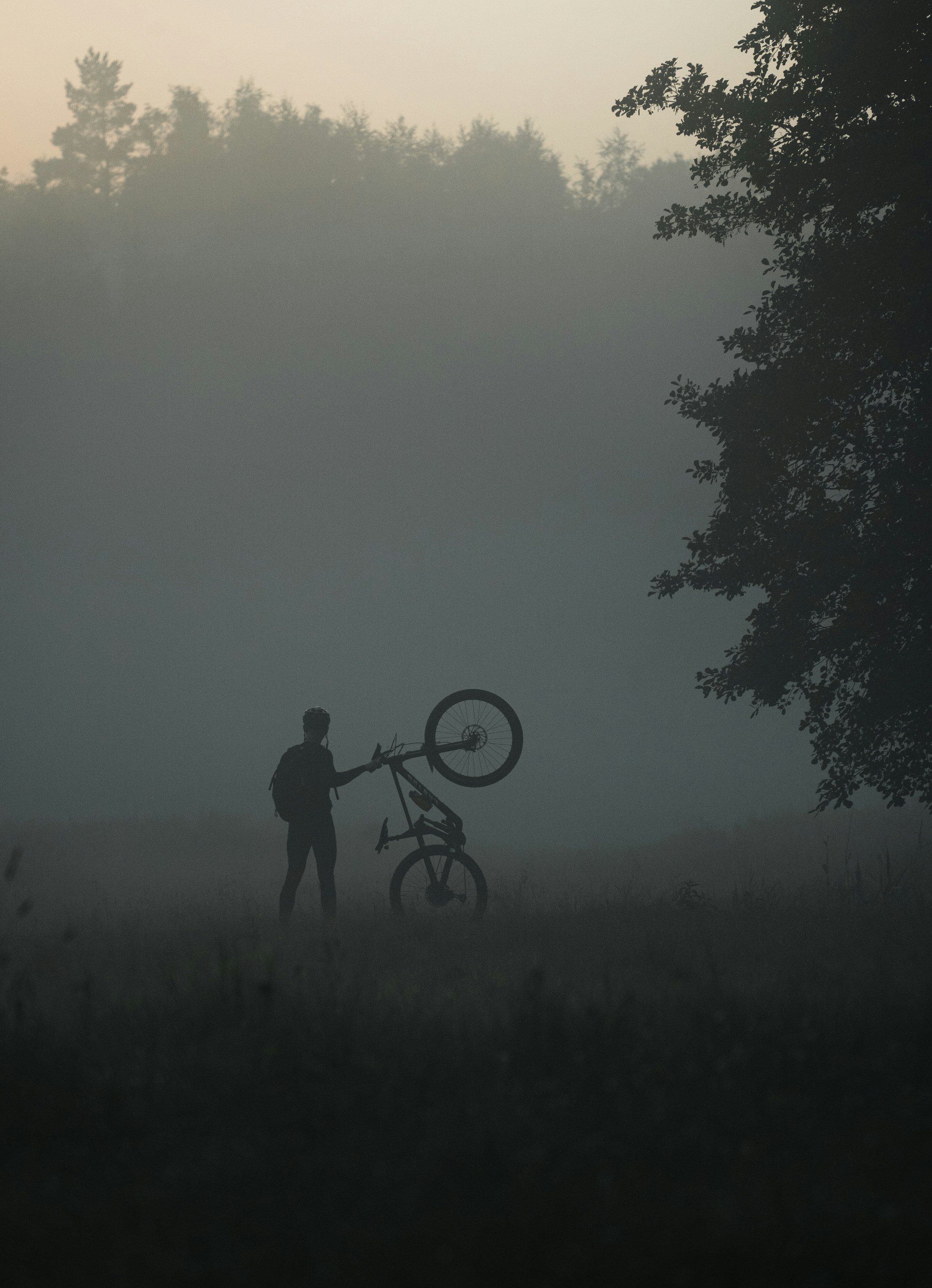 Veil of Morning Mist: A Cyclist's Triumph