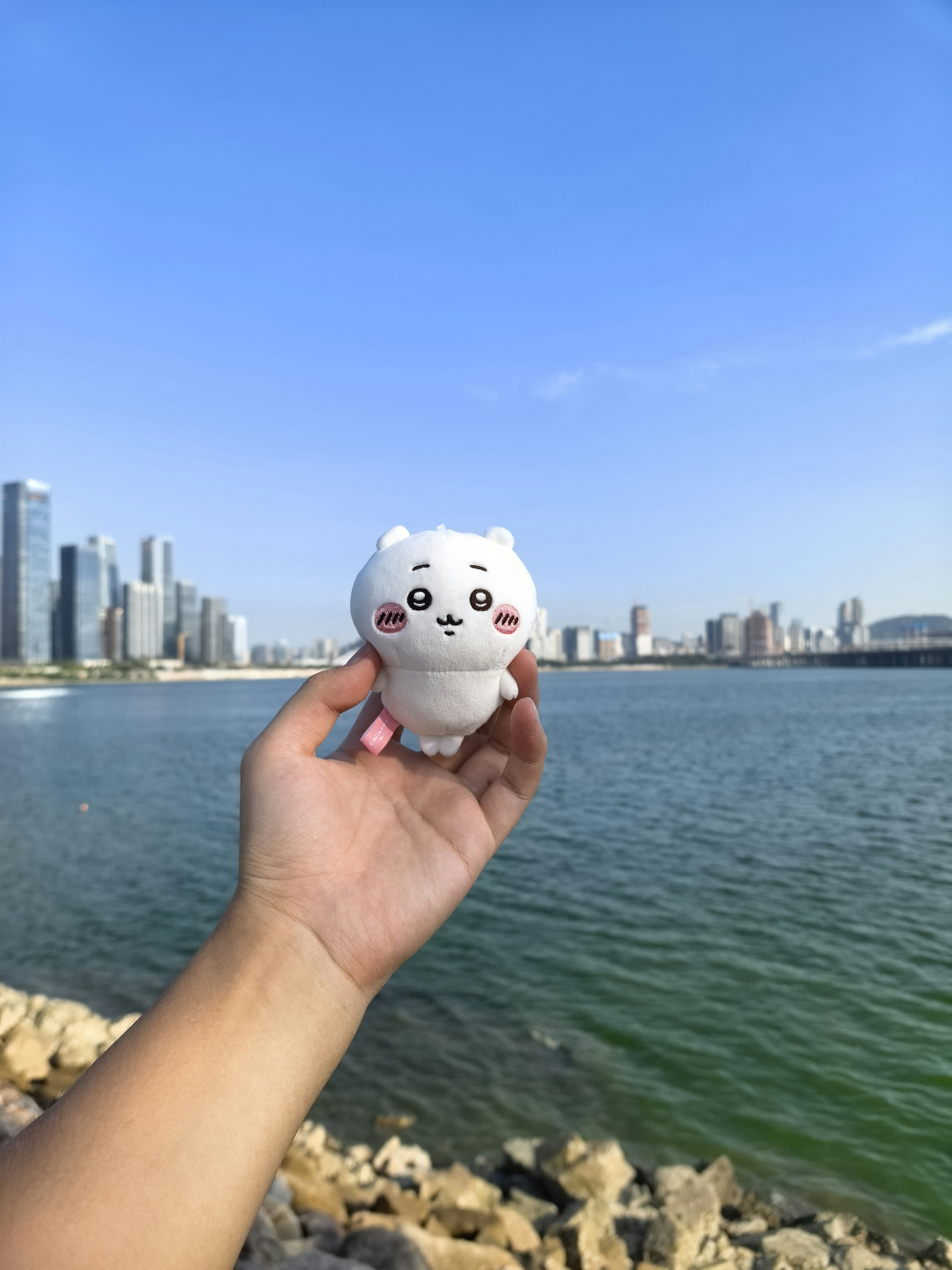 Soft White Plush at the Waterfront: Quiet Moment Beneath the City Horizon