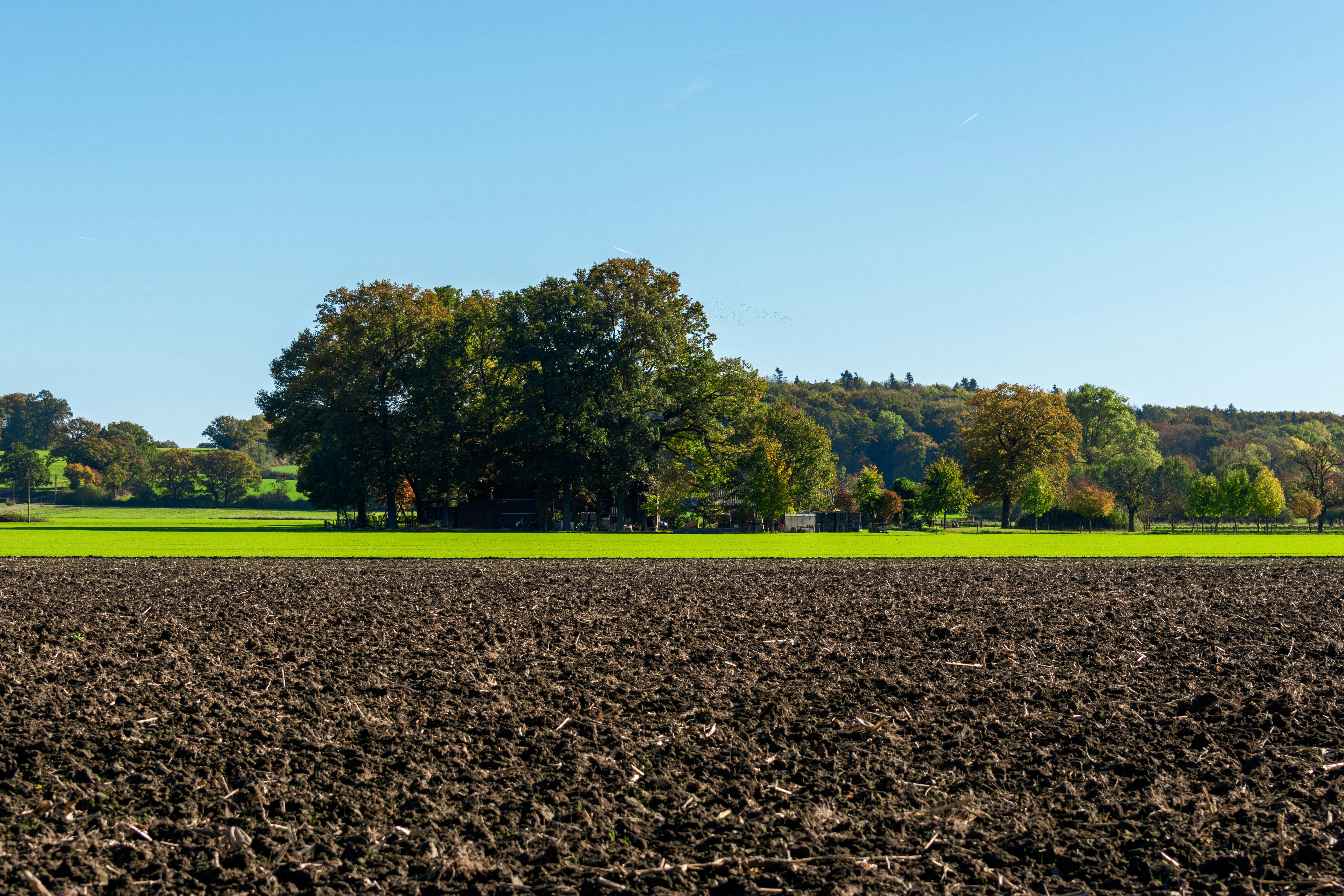 Harvest's Embrace: A Rural Landscape