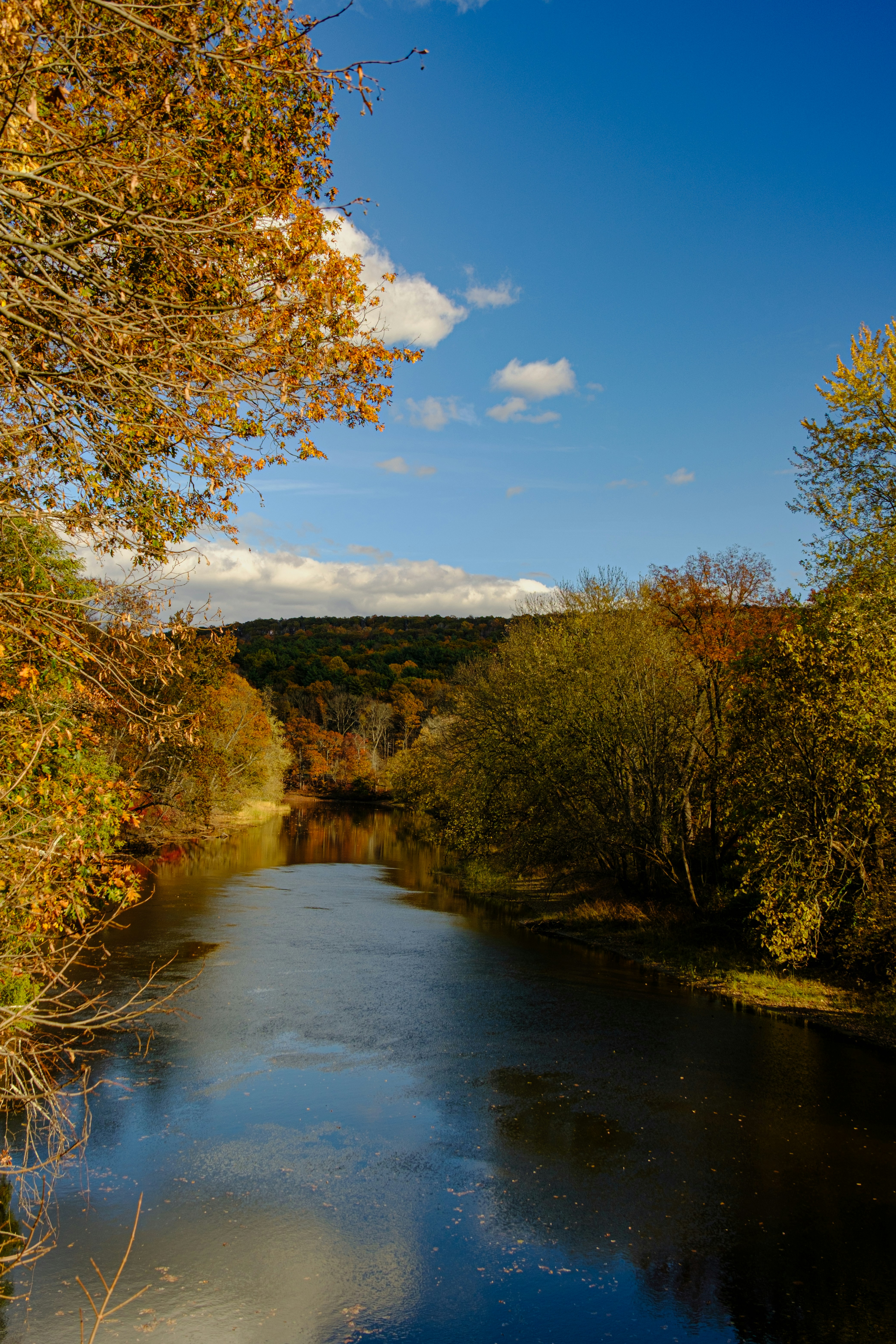 Autumn's Reflection on Tranquil Waters