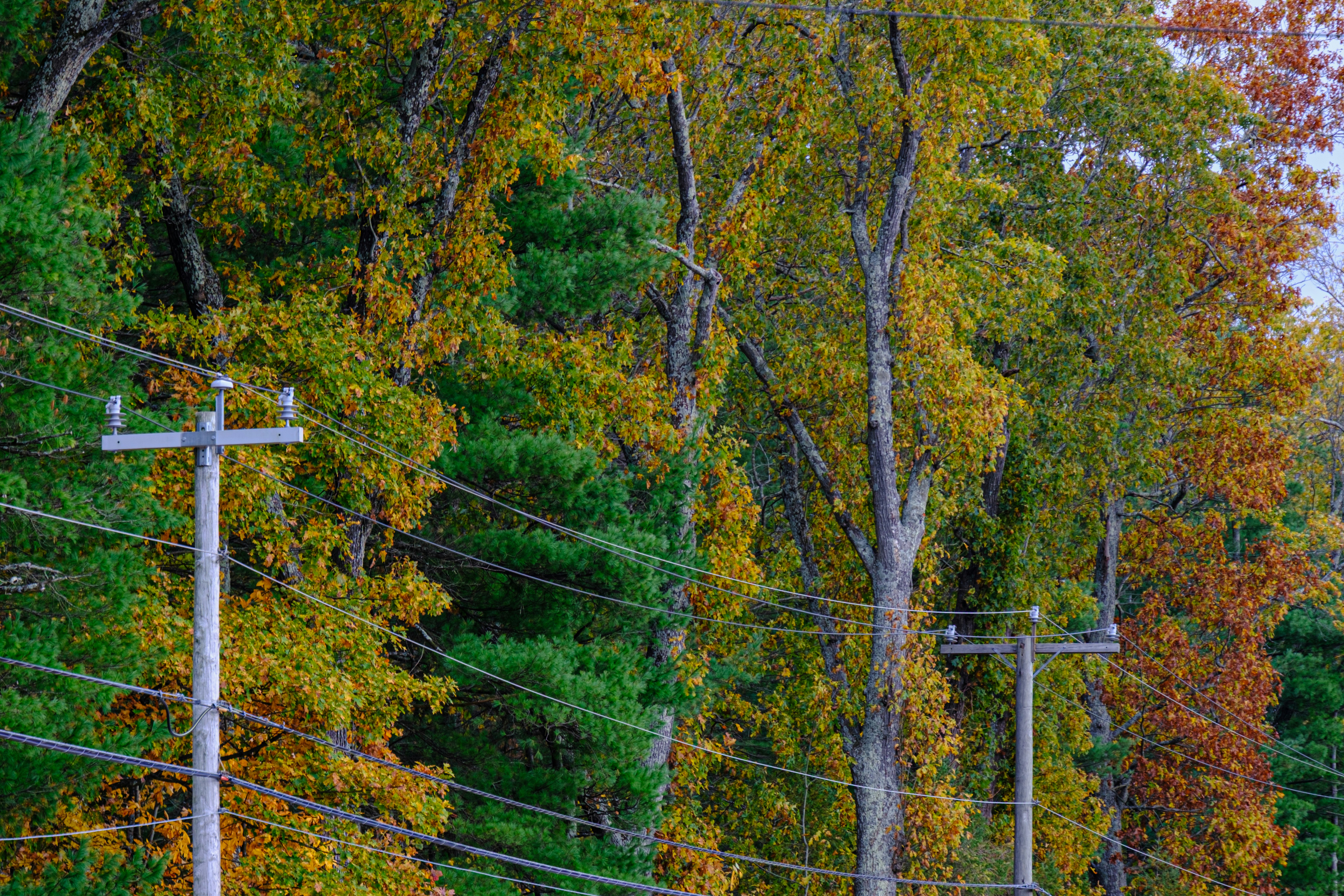 Photo by MICHAEL CHIARA with Fujifilm X-H2S