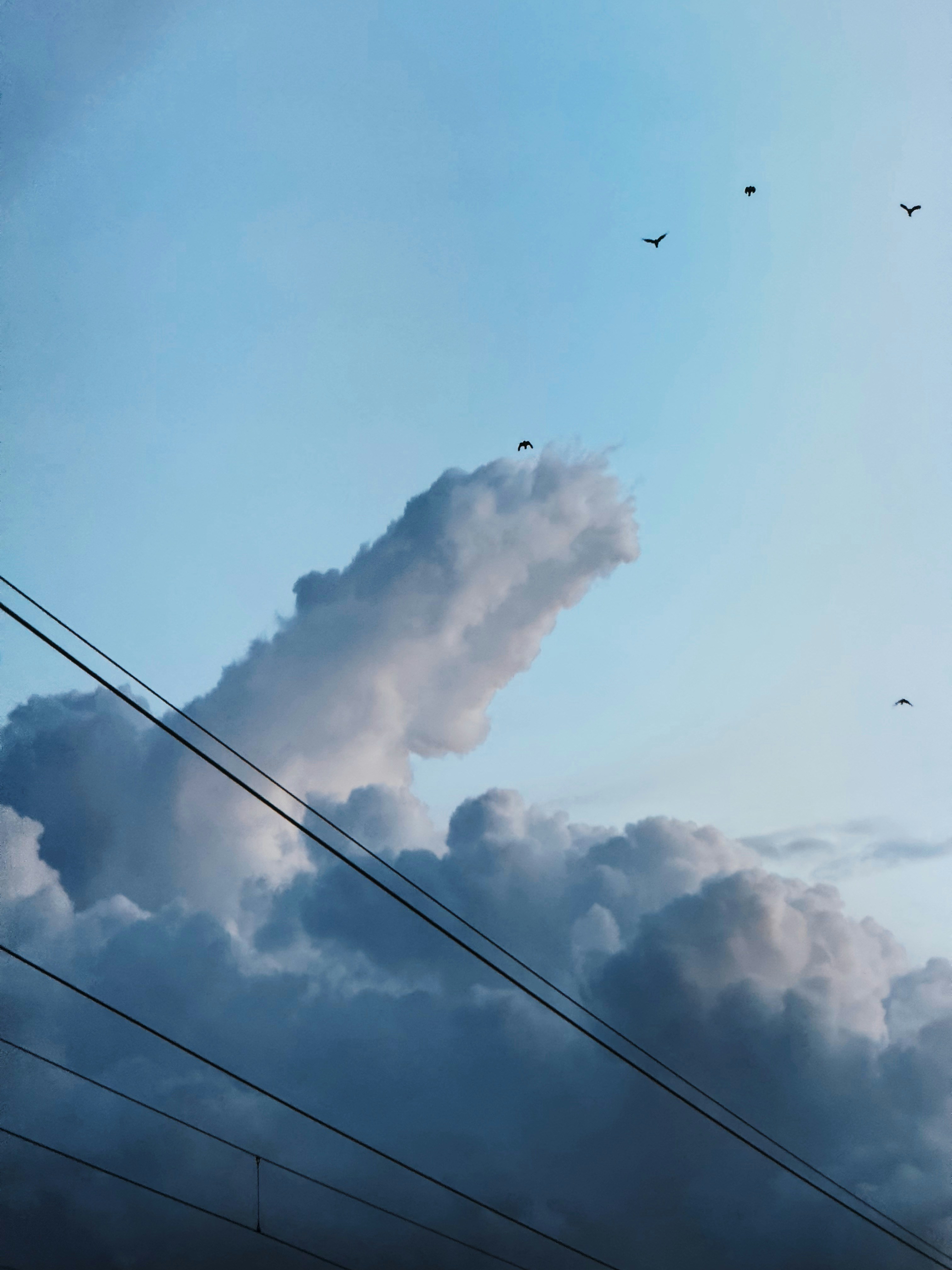 Whimsical Cloud Formation Amidst a Blue Canvas