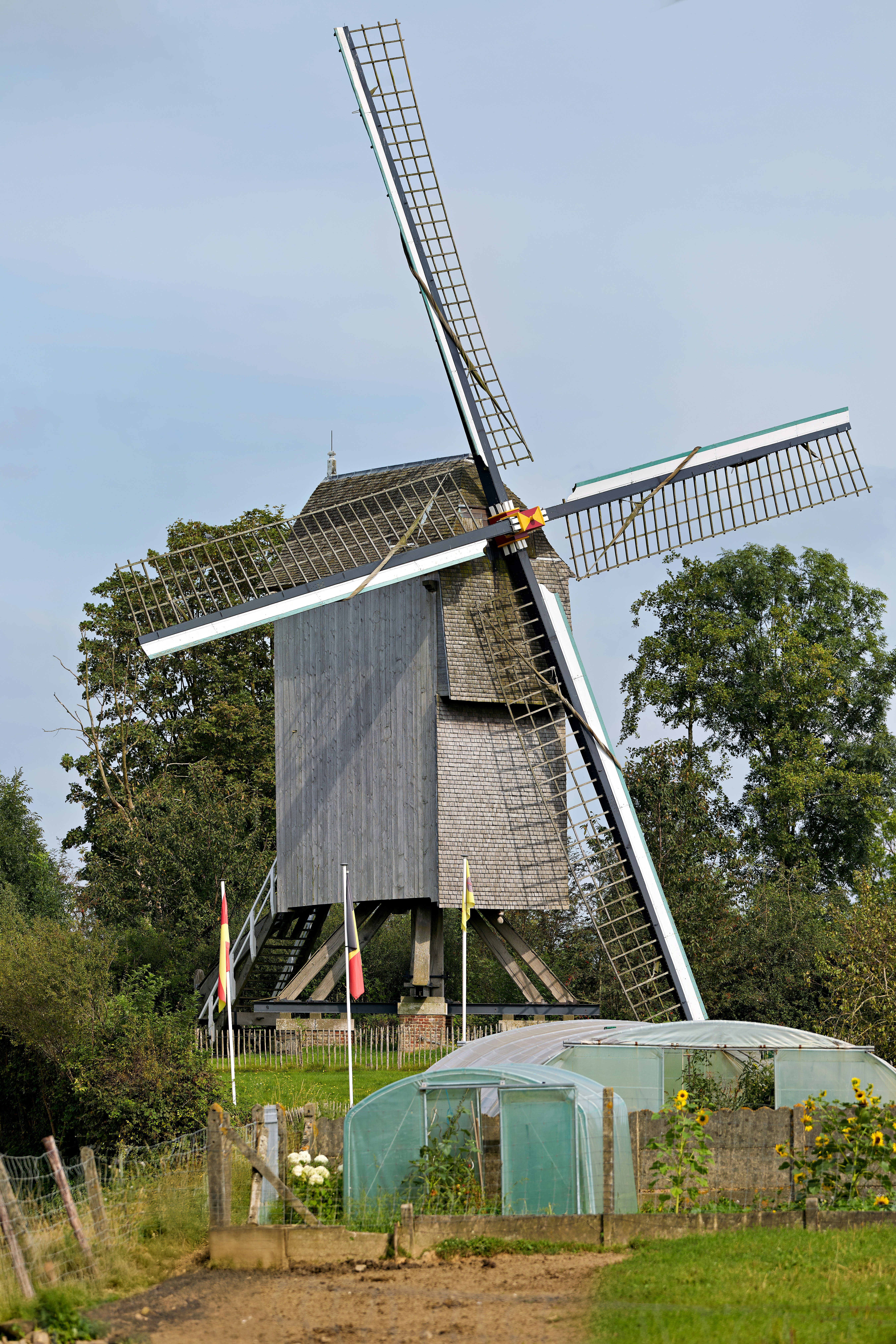 A traditional wooden post mill with sails prominent against a blue sky, surrounded by lush green trees. A rustic garden with greenhouses and sunflowers fills the foreground. | A wooden windmill stands tall amongst trees.