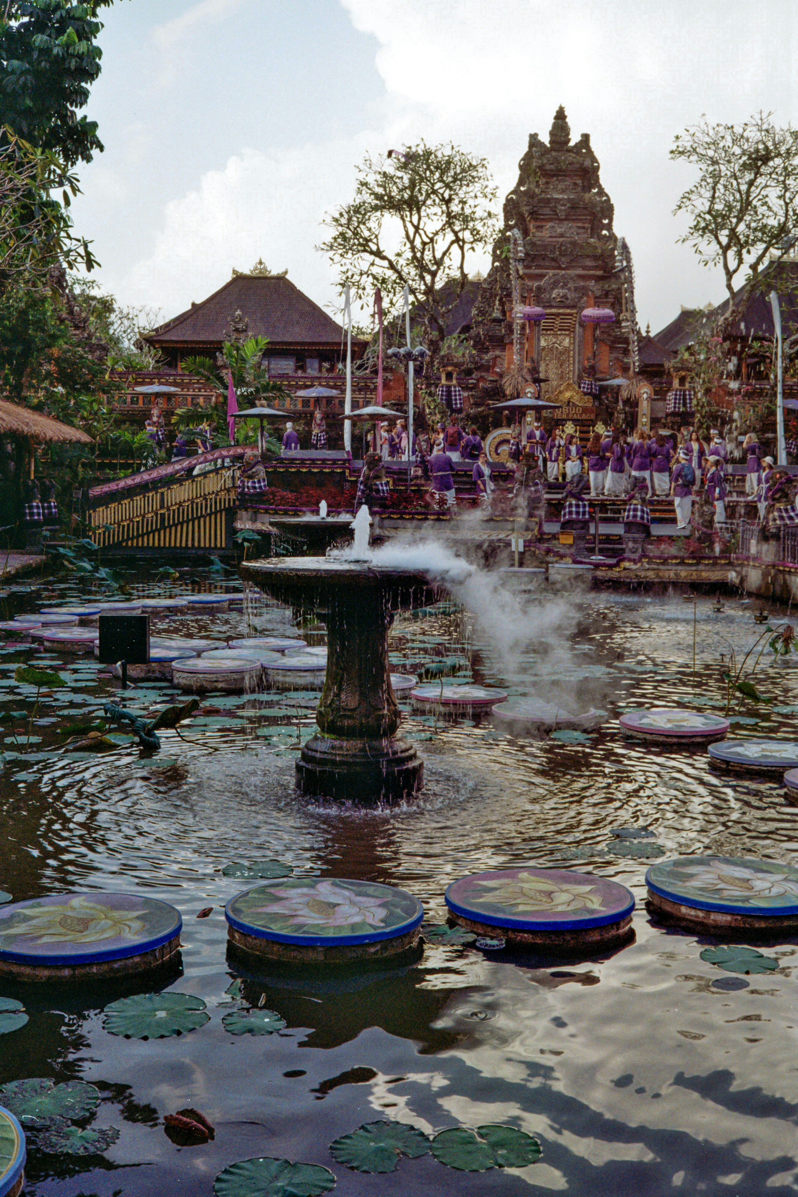 Kodak Gold 200 🎞️