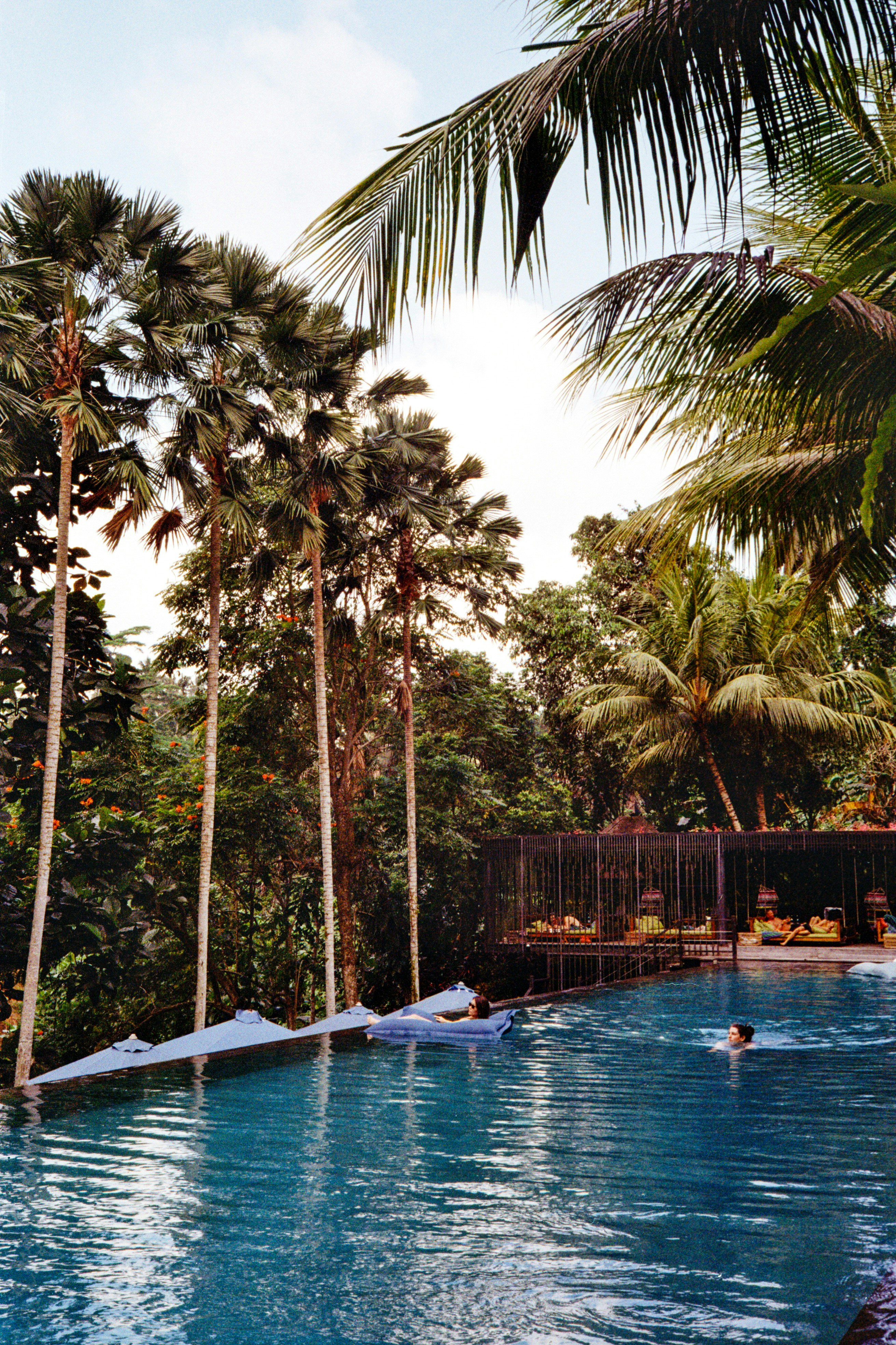 Kodak Gold 200 🎞️