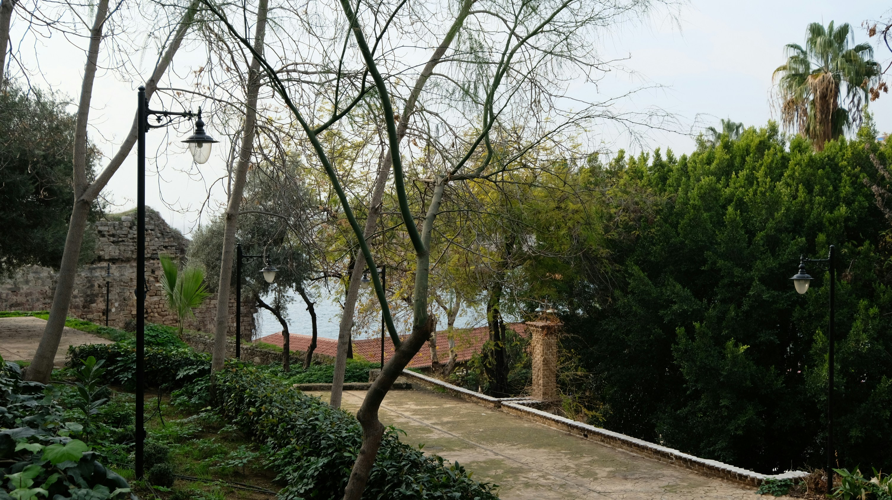 Whispers of Nature in Urban Serenity