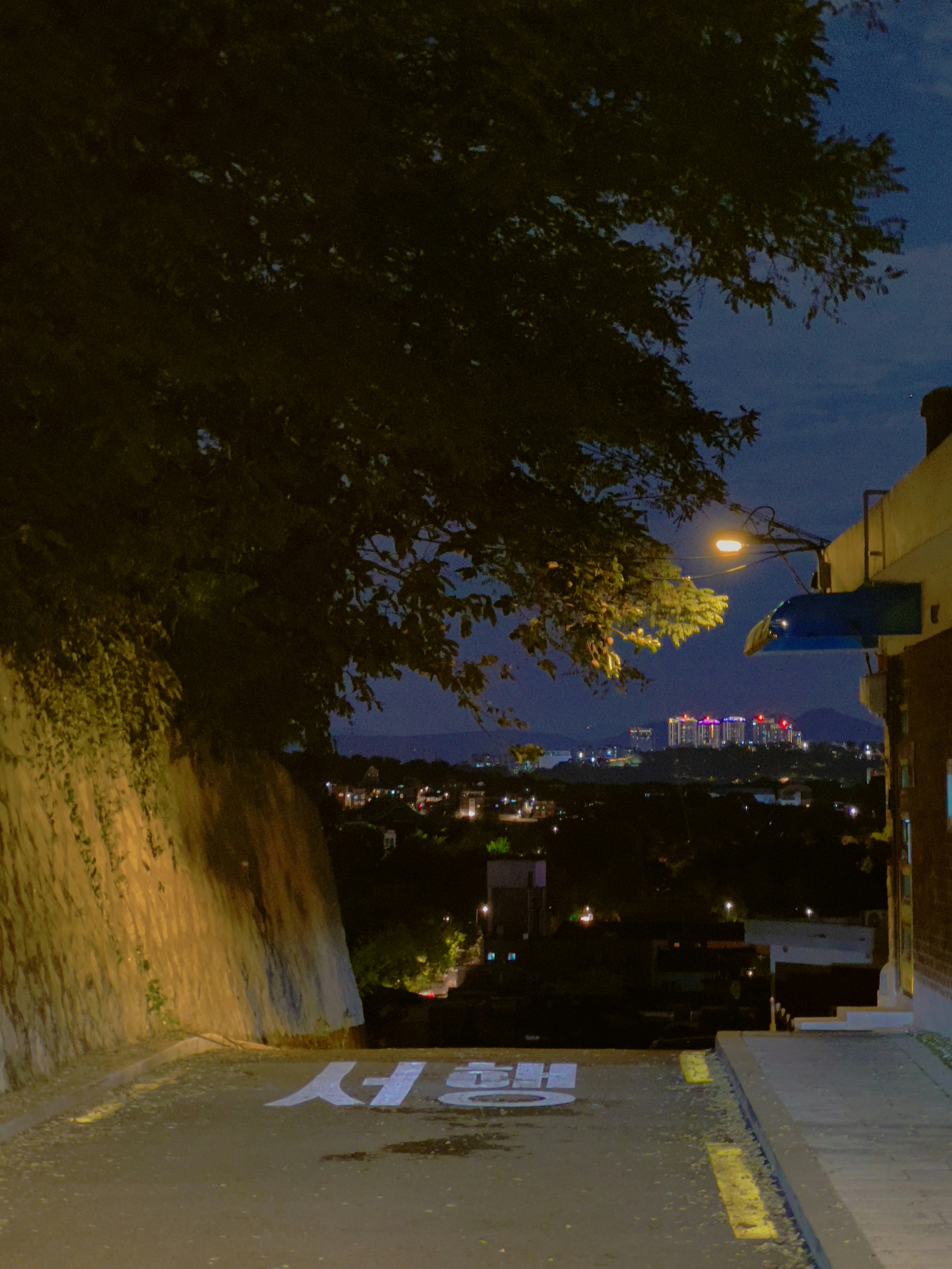 Urban Tranquility: A Nighttime Descent