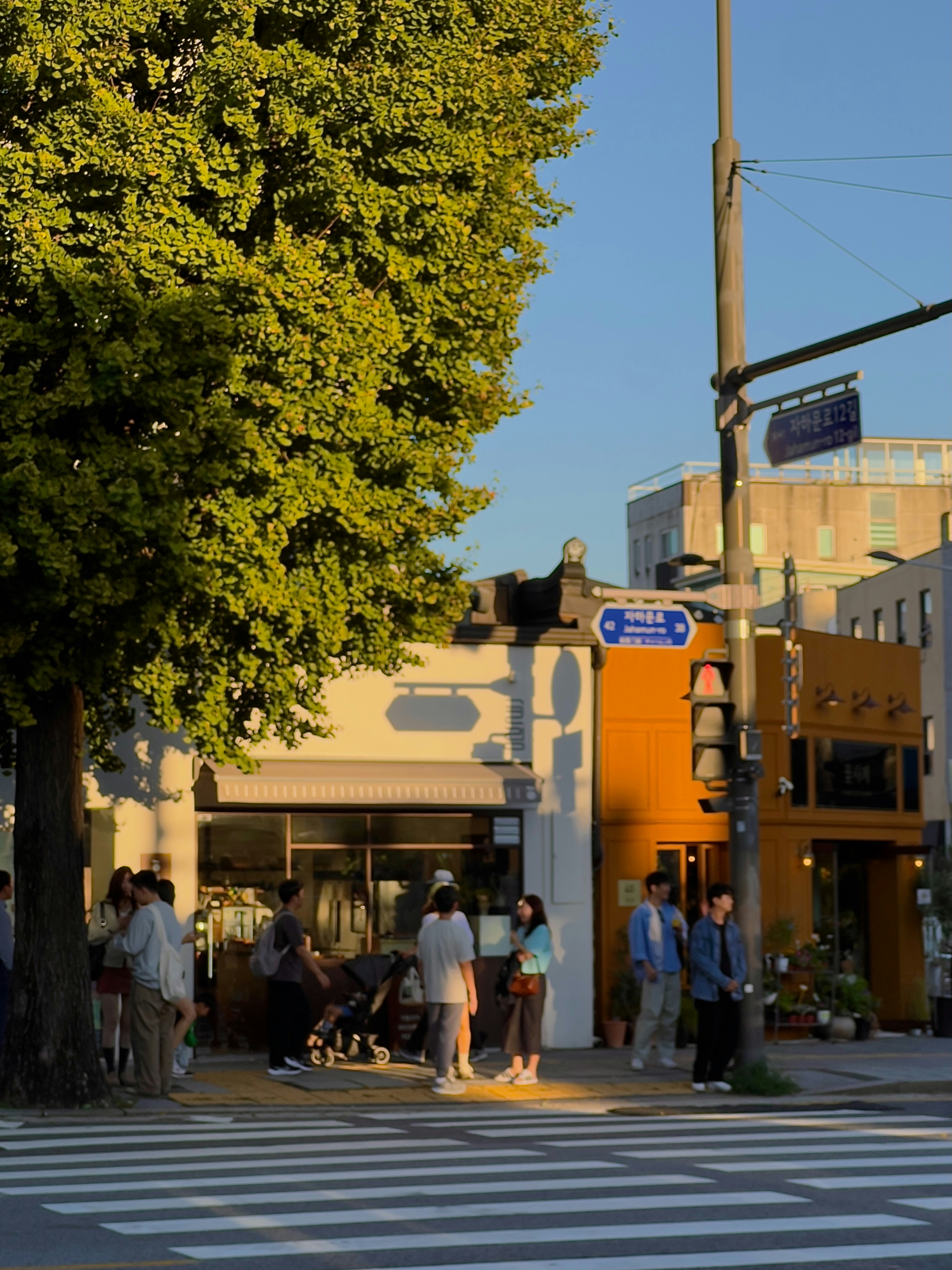 A lively street scene featuring pedestrians and a vibrant tree casting shadows, with shops lining the background. The warm light of sunset enhances the atmosphere.