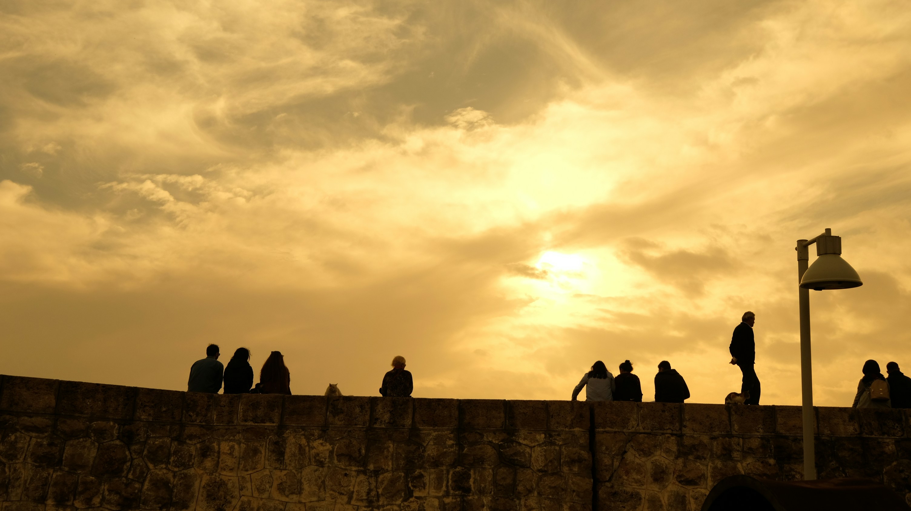 Silhouettes of people on a wall at sunset.
