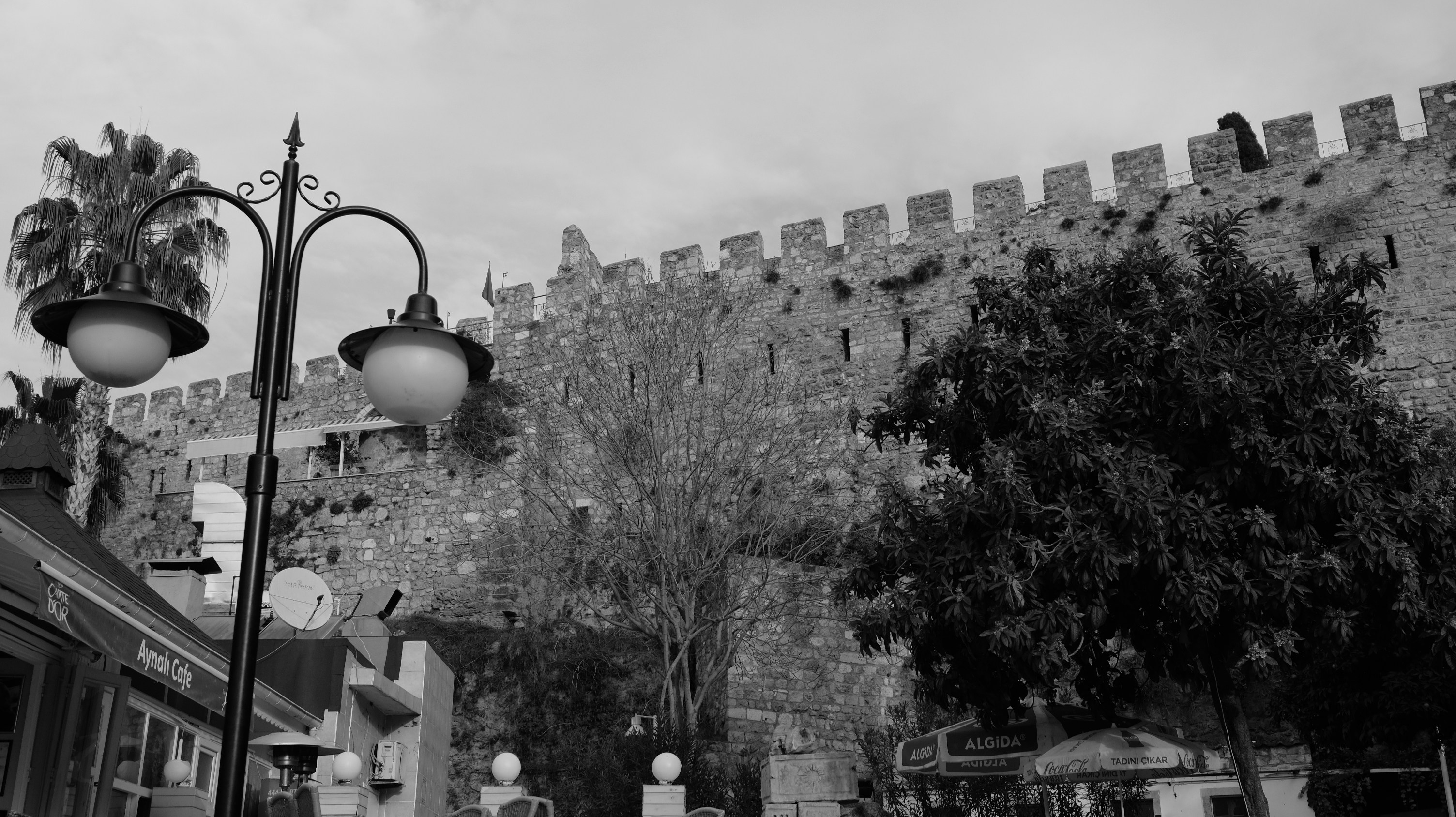Echoes of History: The Ancient Wall's Silent Watch