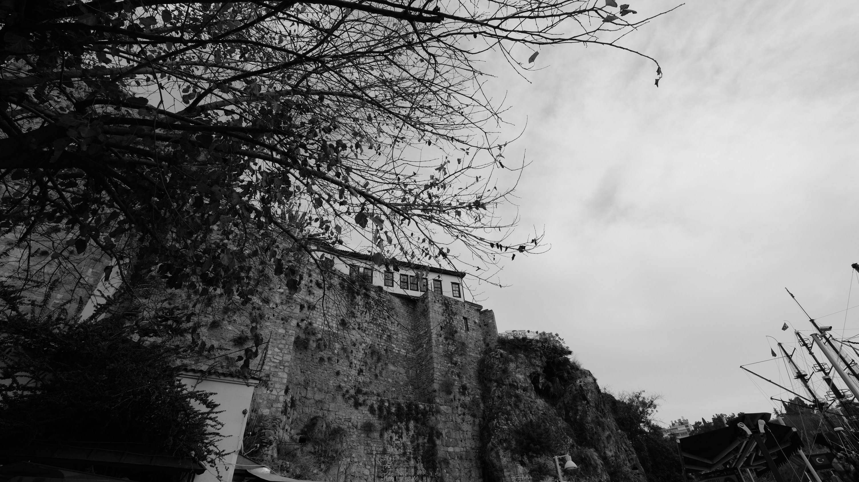 Ancient stone fortress perched on a rocky cliff, framed by bare branches and a cloudy sky. The scene evokes a sense of timelessness and resilience.