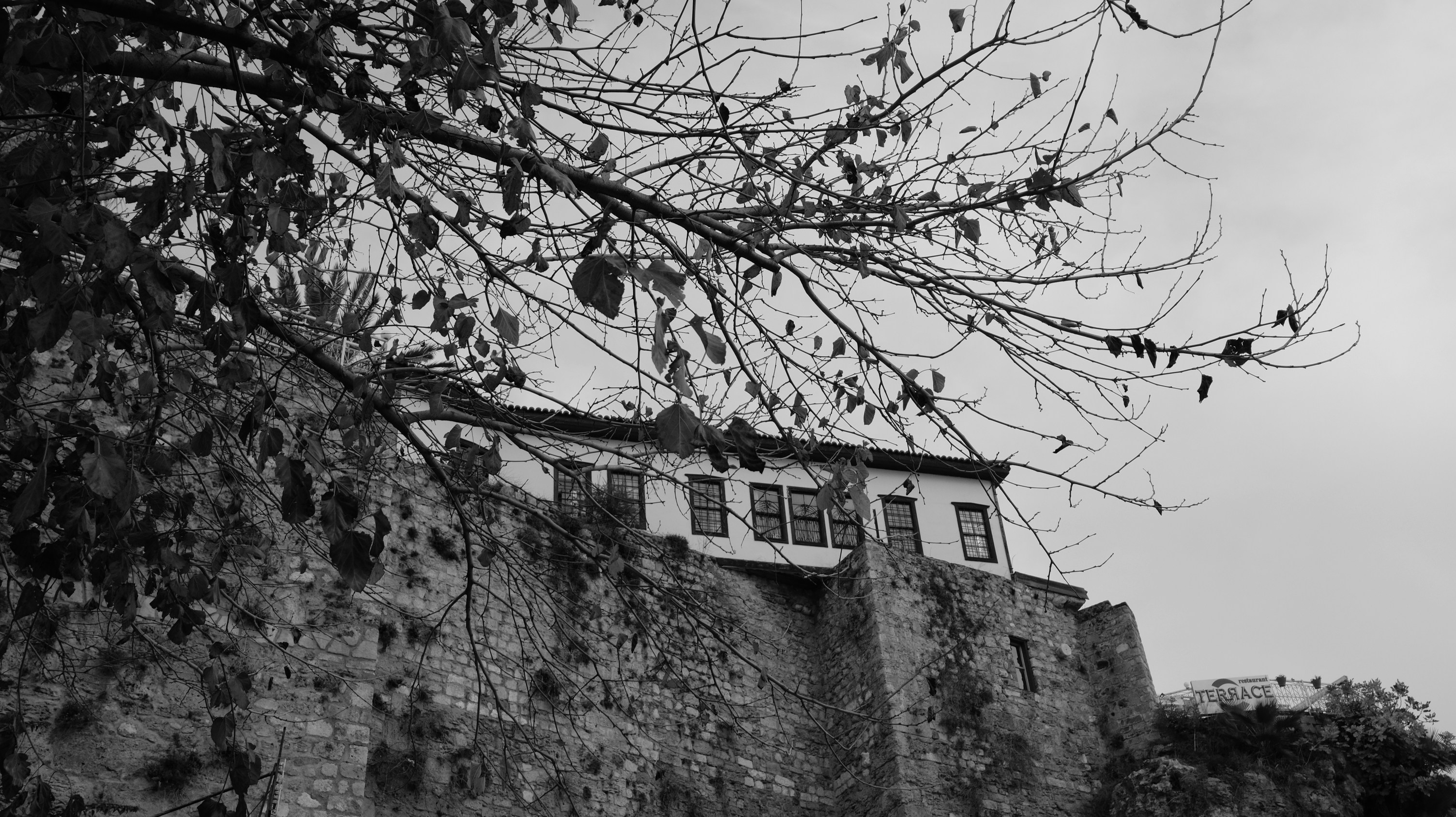 Old building on a stone wall with bare branches