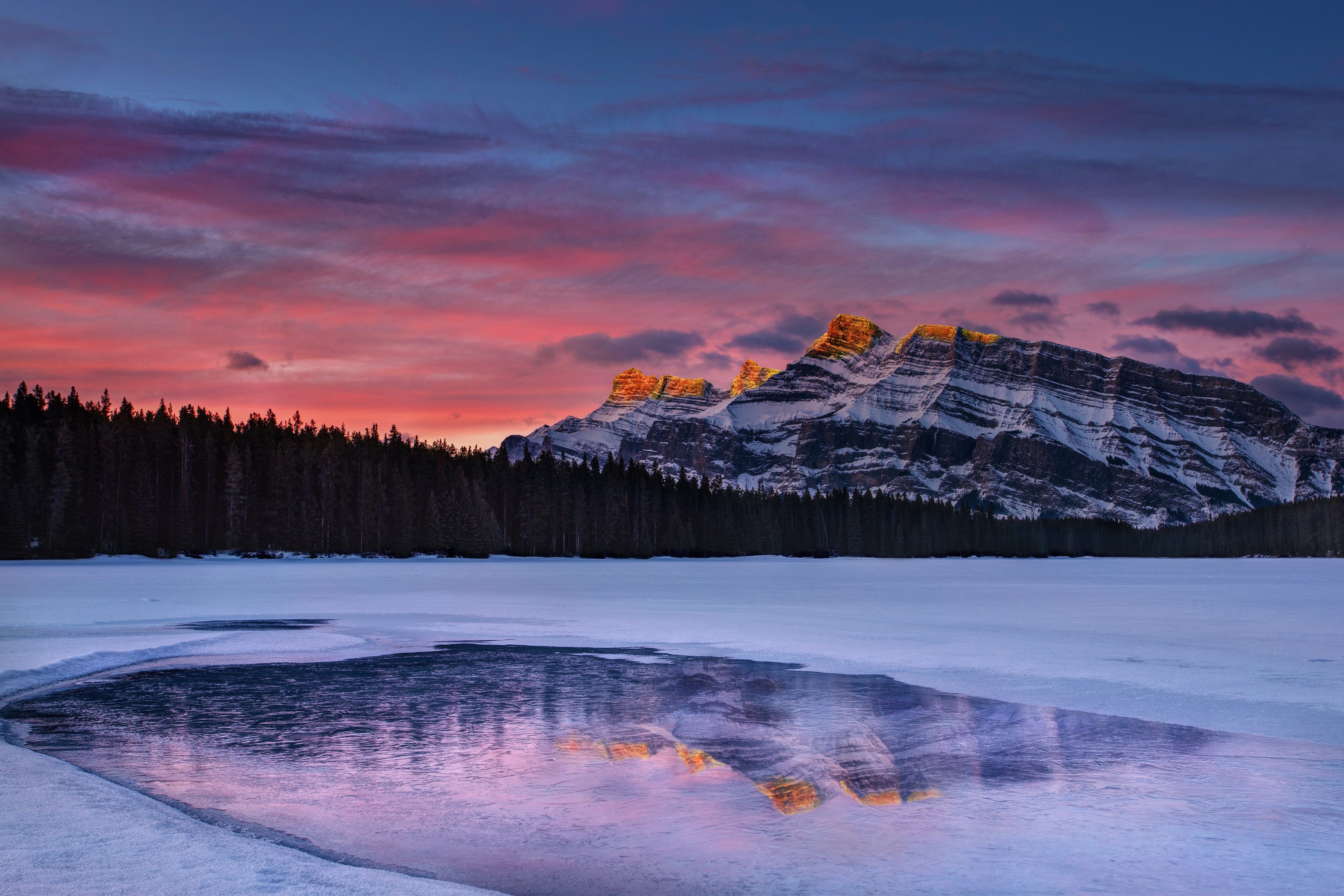 Whispers of Winter's Twilight