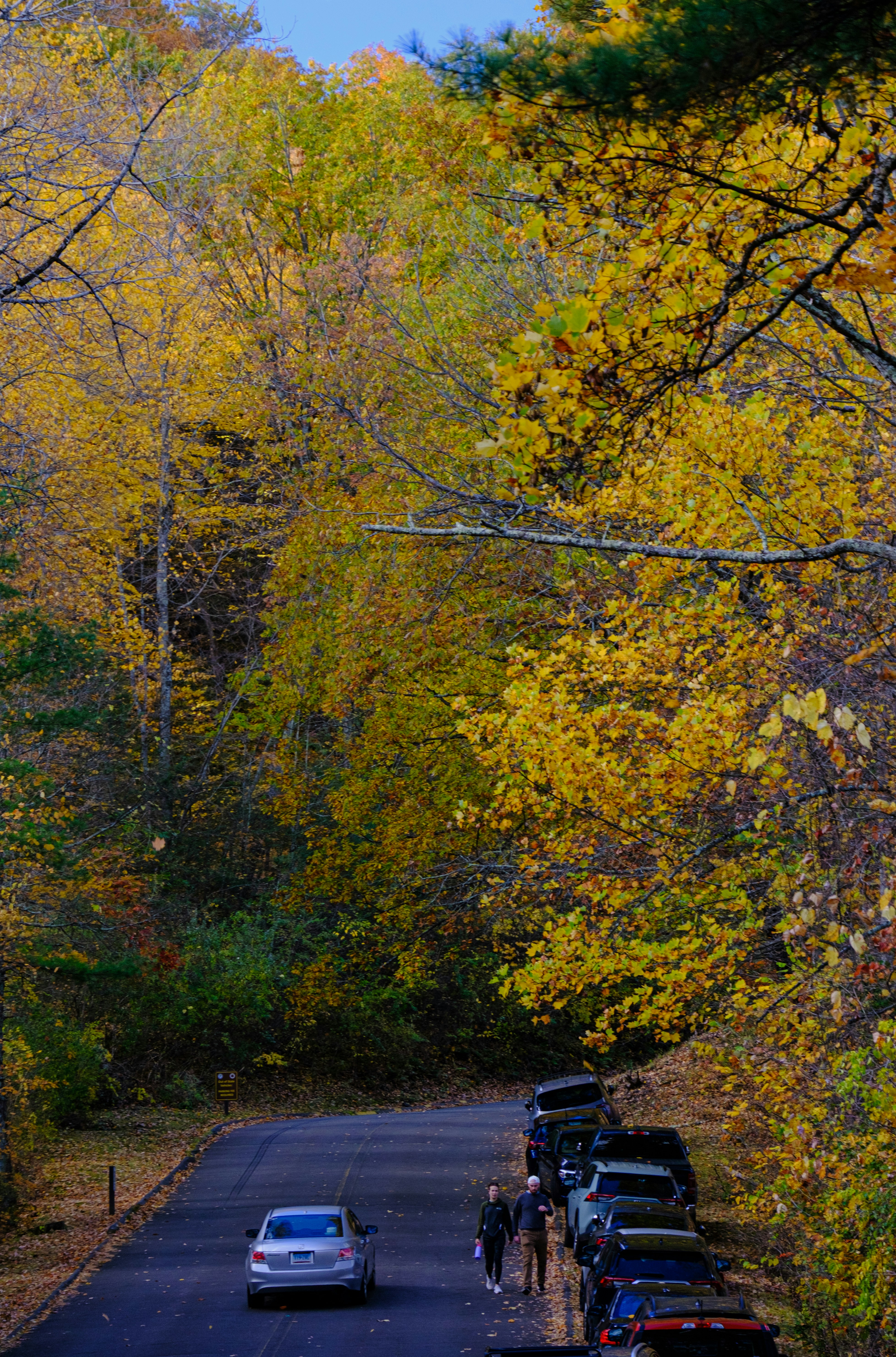 Cars parked along a road with autumn foliage.