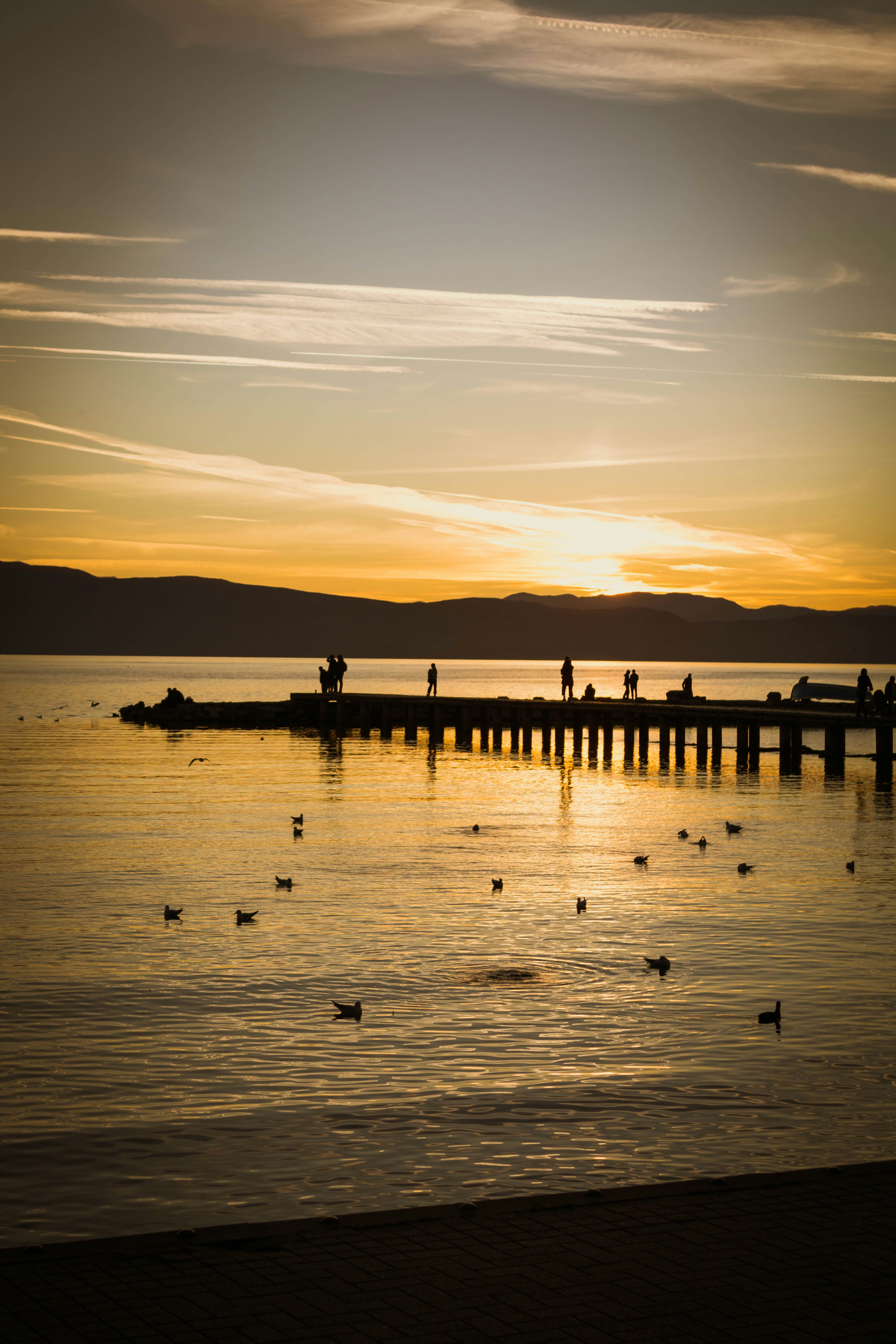 People on a pier at sunset with birds on water.