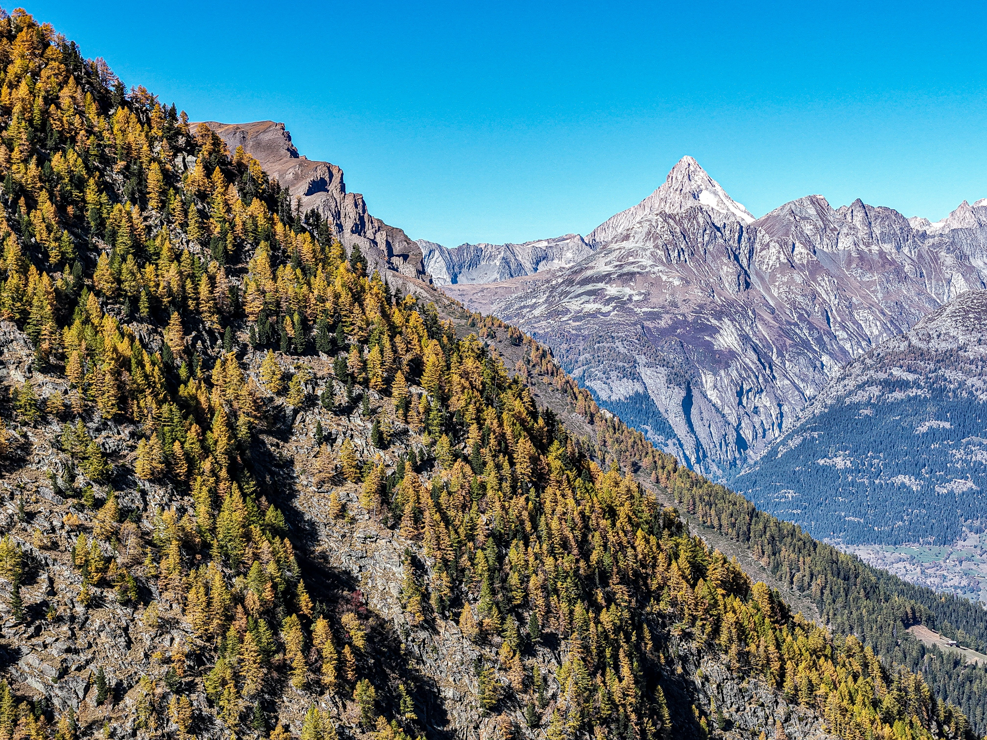 Autumn's Embrace on Alpine Peaks