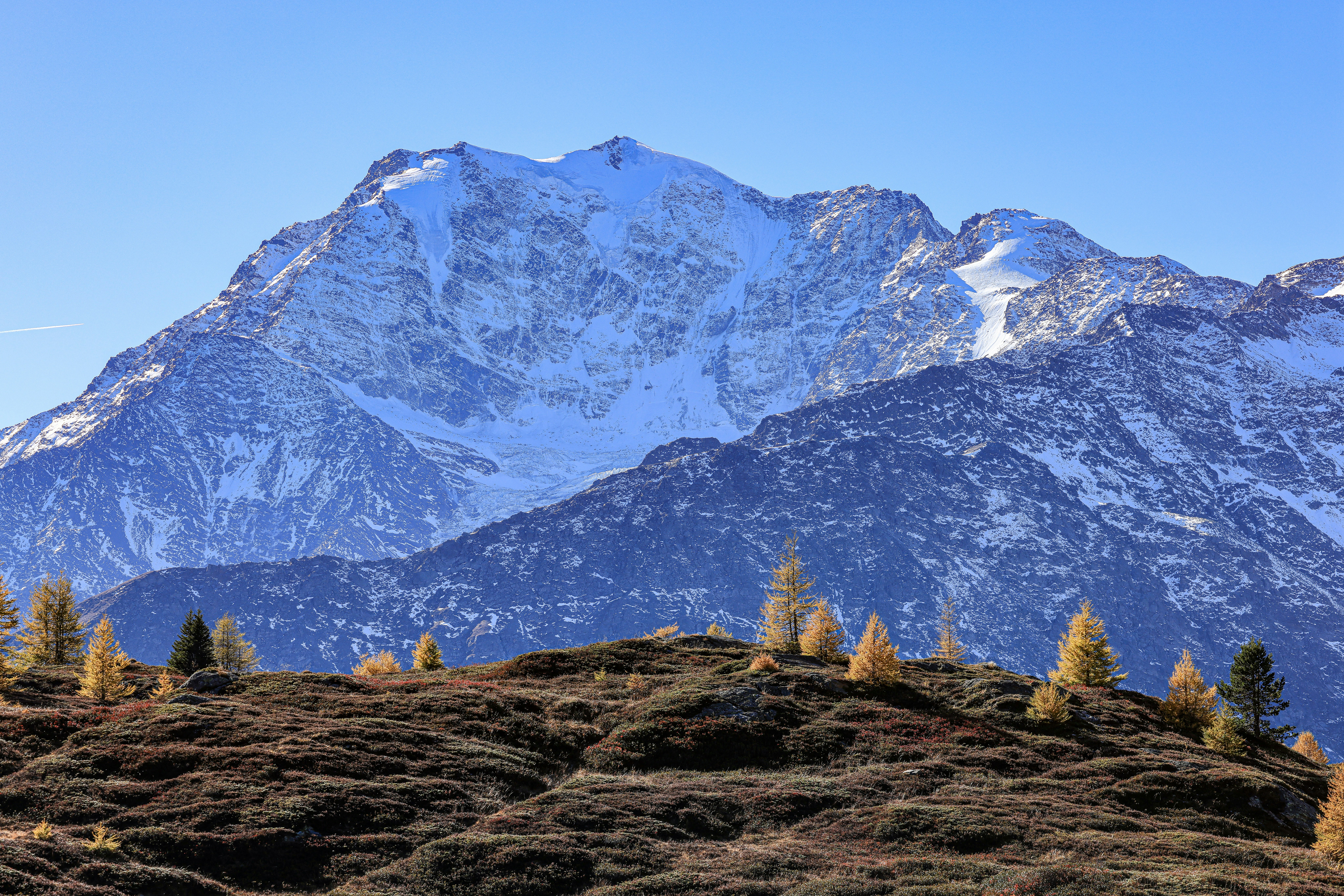 Golden Larches Framing a Snowbound Summit