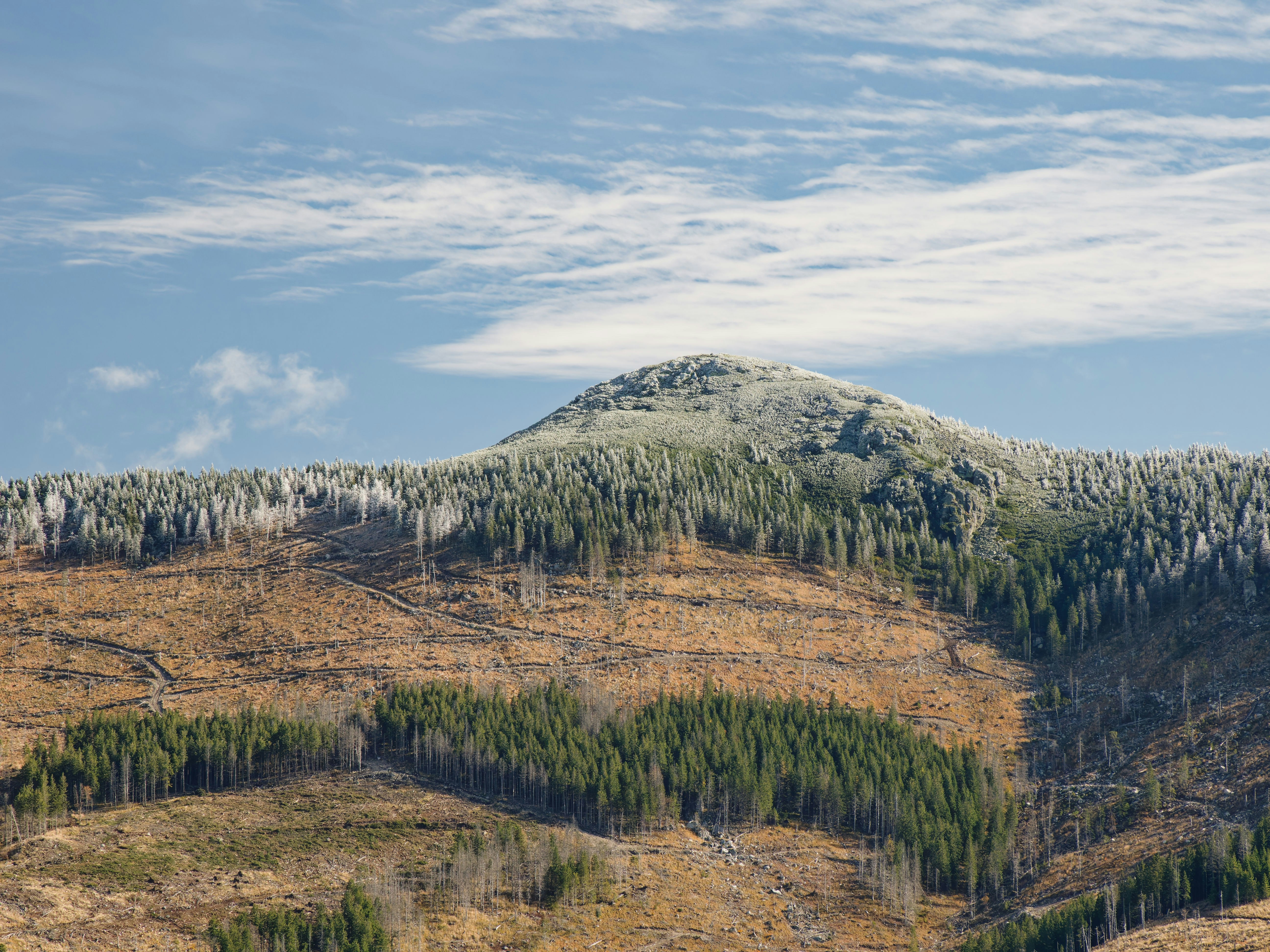 Snow-dusted peak rising above a patchwork of autumnal forests, capturing the transition from summer to winter.