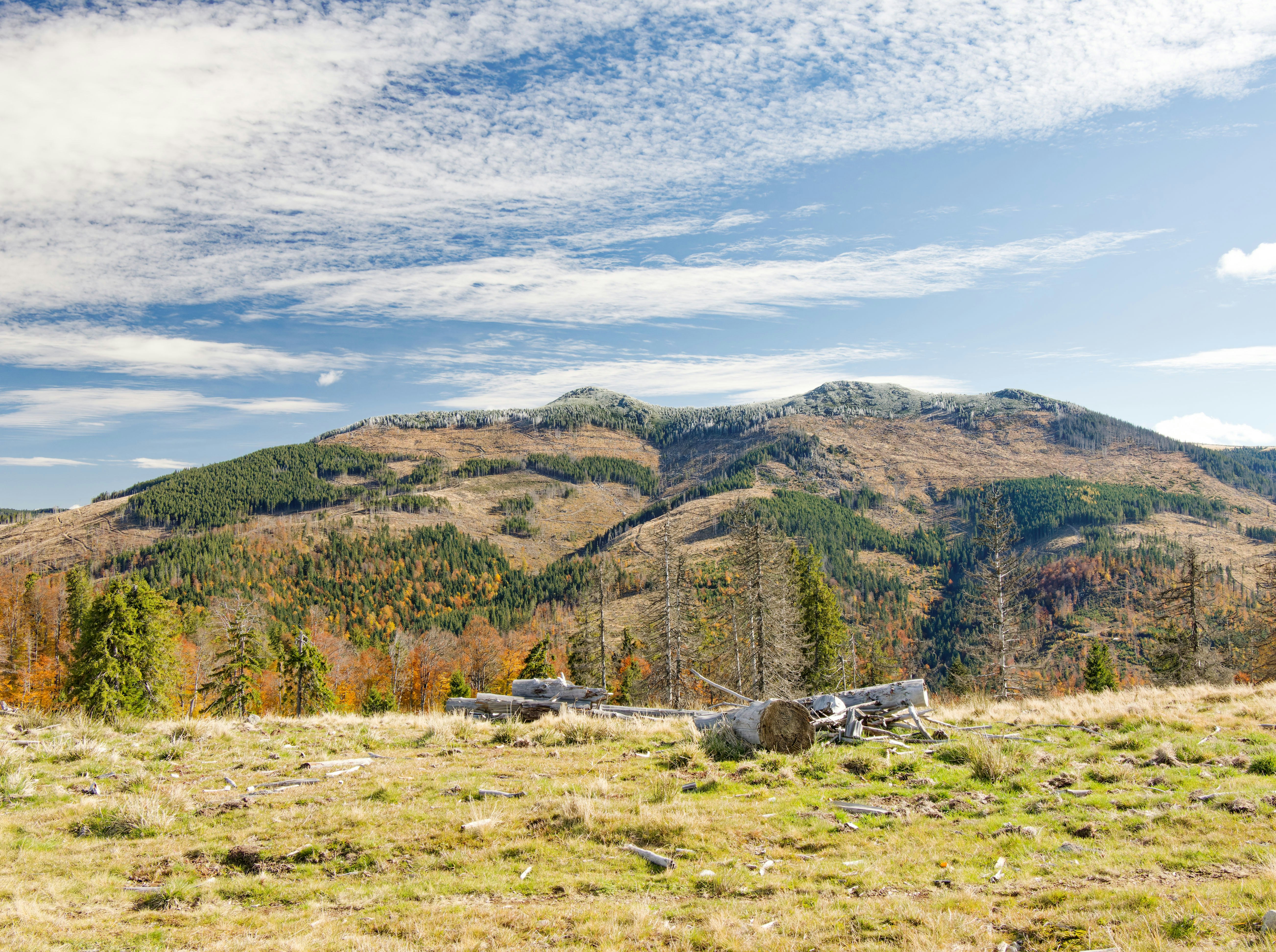 Whispers of Autumn on the Mountain Ridge