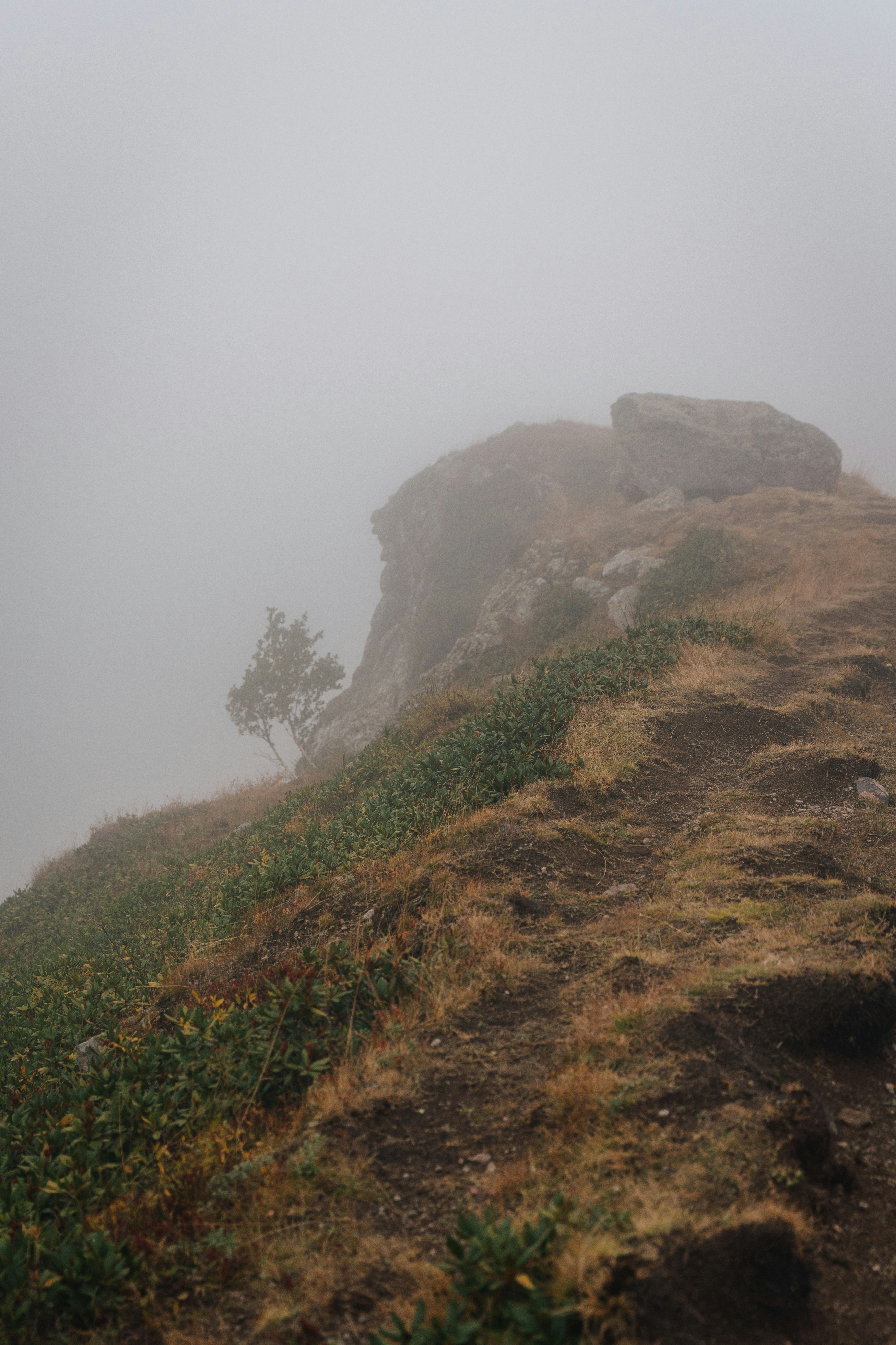 Whispers of the Misty Summit