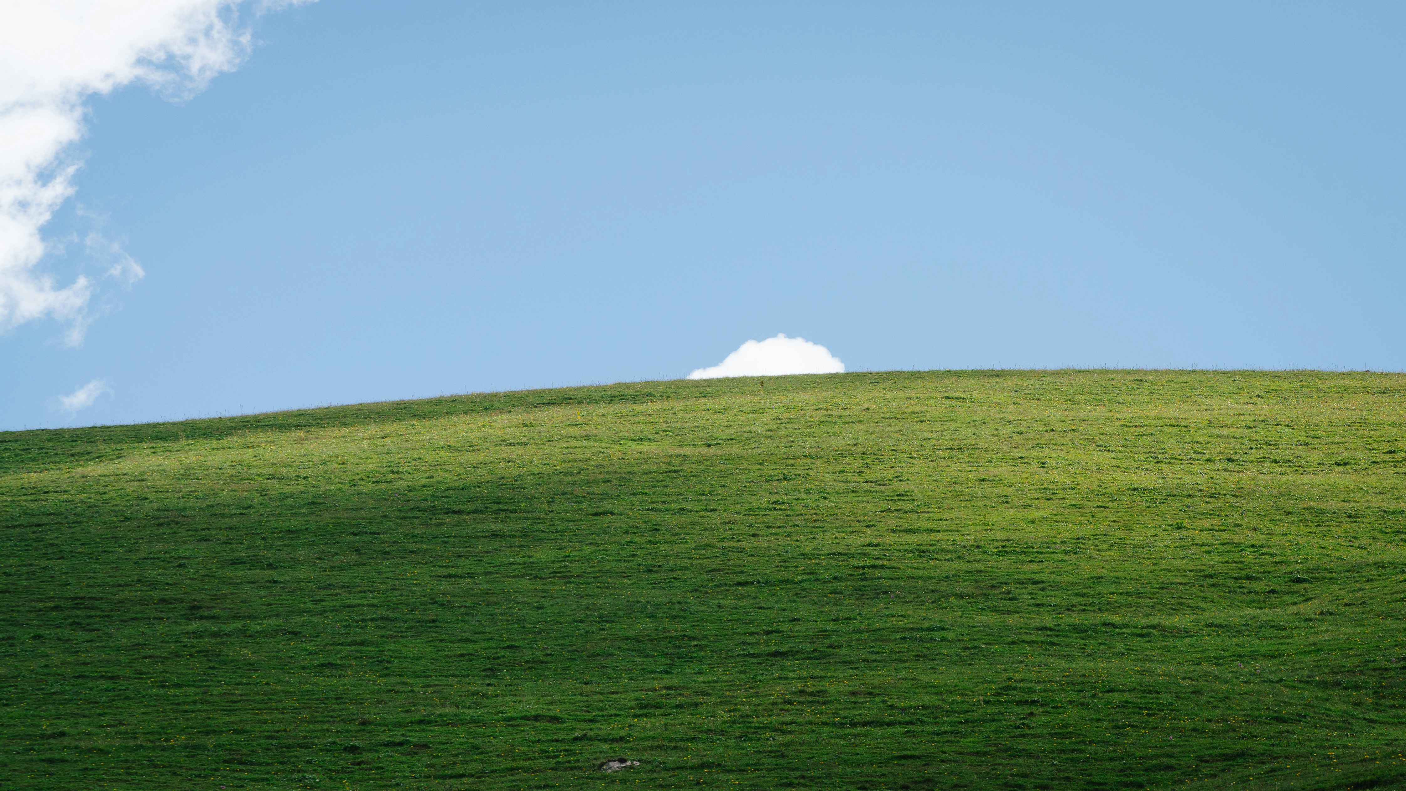 Rolling green hills under a bright blue sky