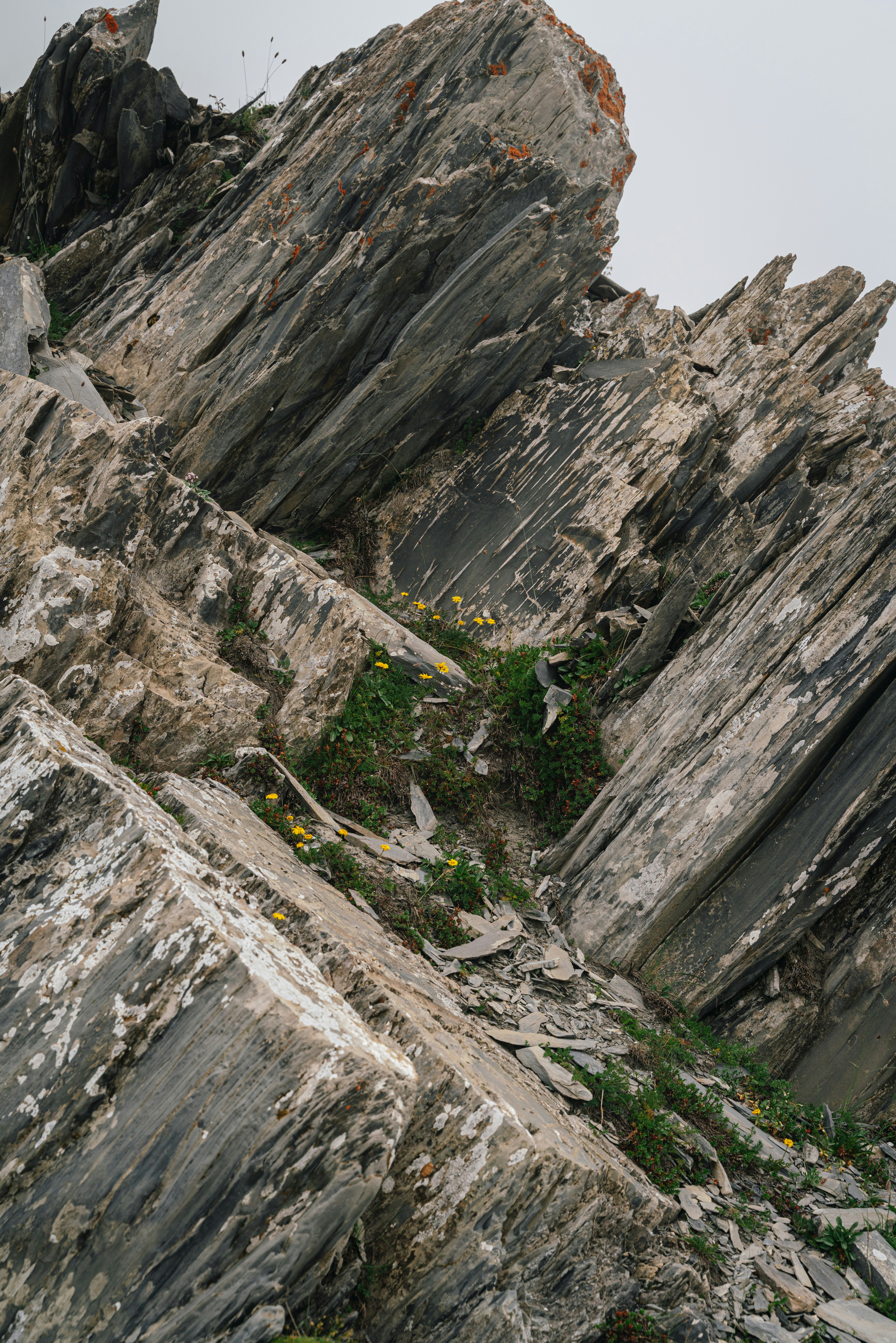 Photo by Nick Night with Sony Alpha 7R III