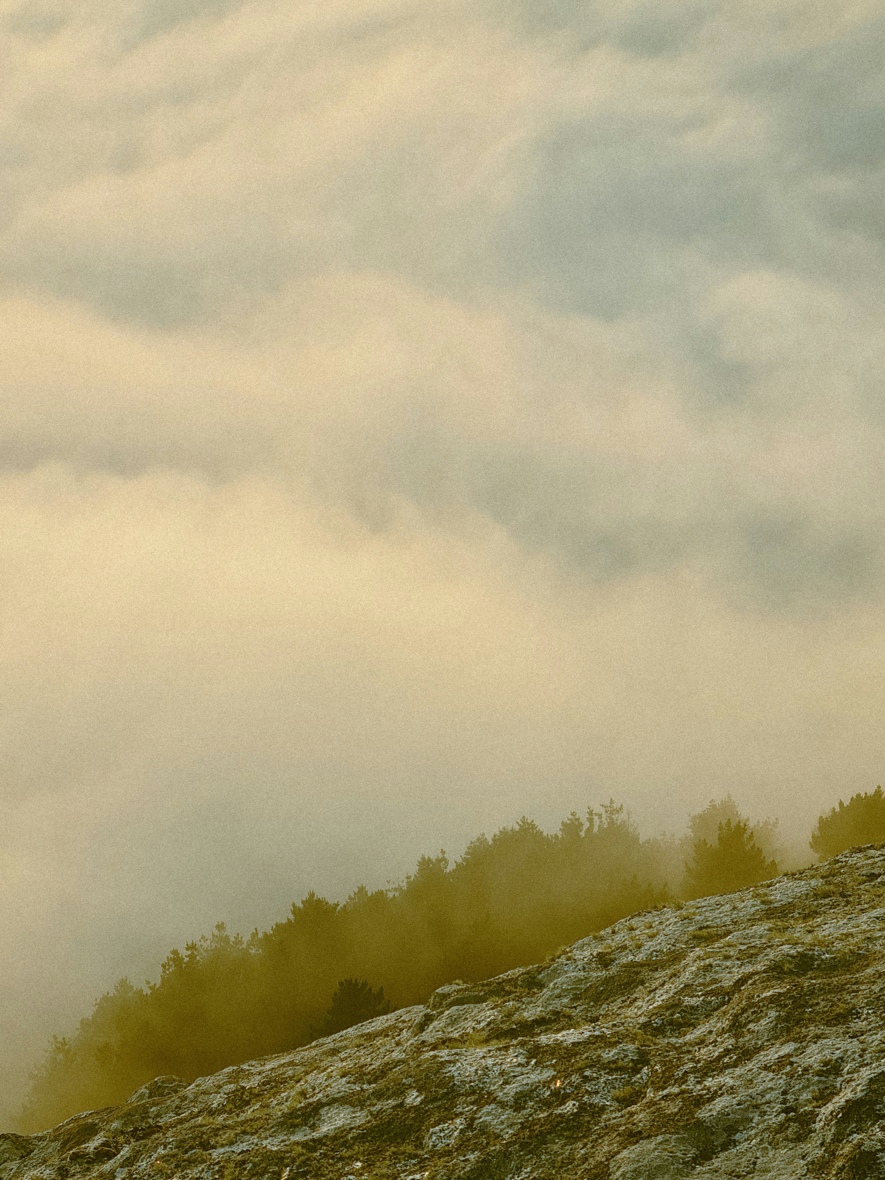 Misty mountain slope with trees and clouds