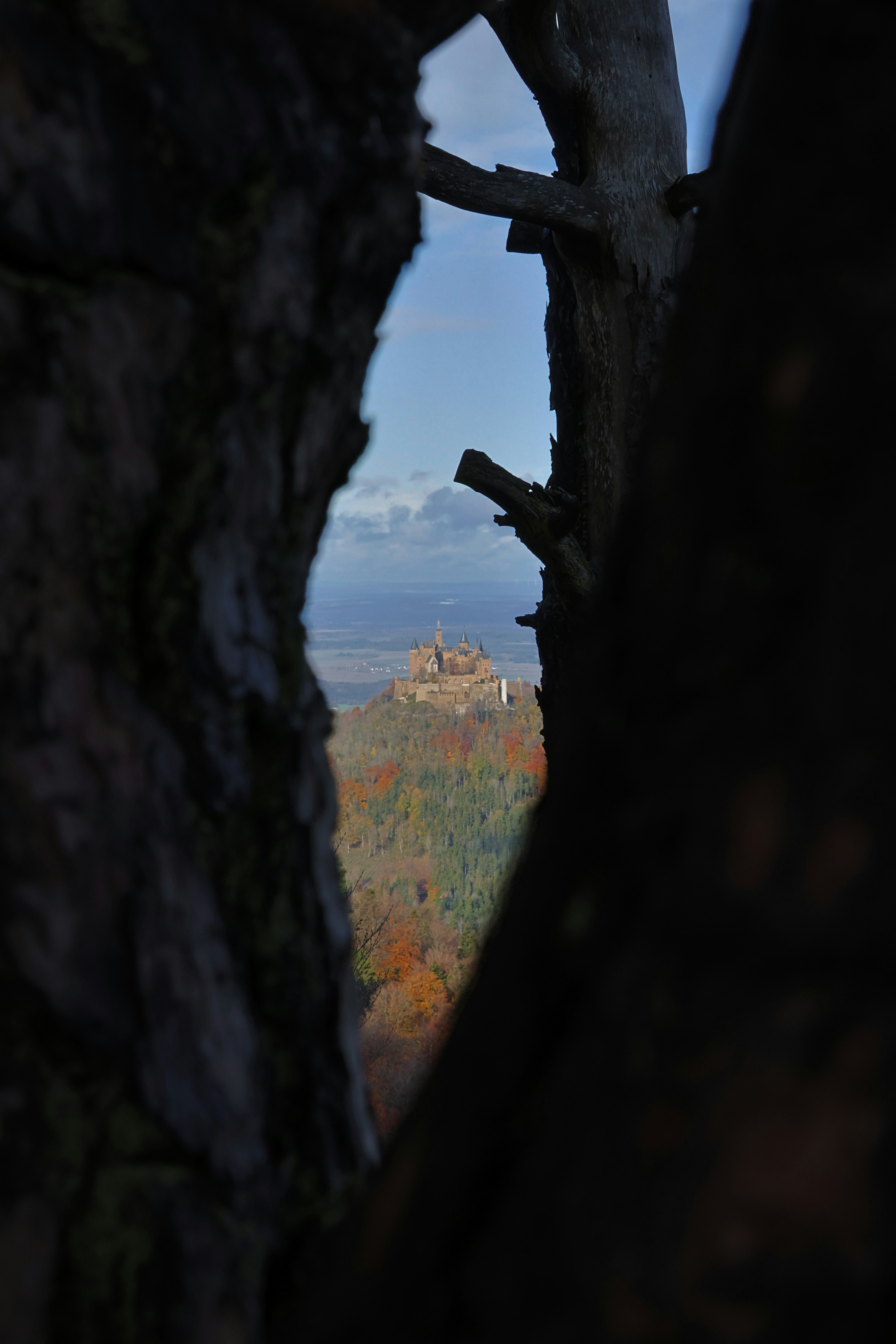 Framed Majesty: A Castle's Secret View