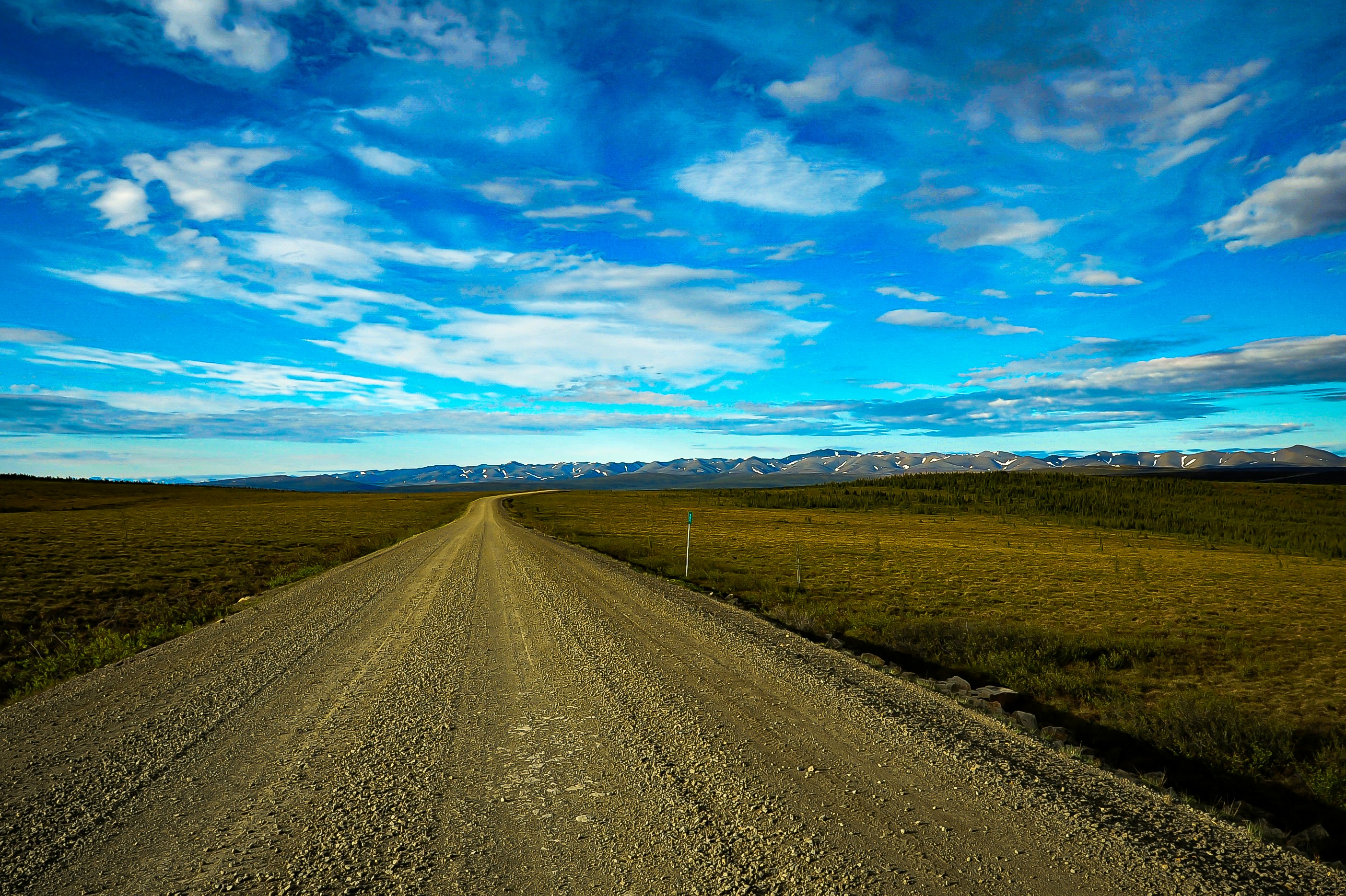 Endless Journey Through the Wilderness