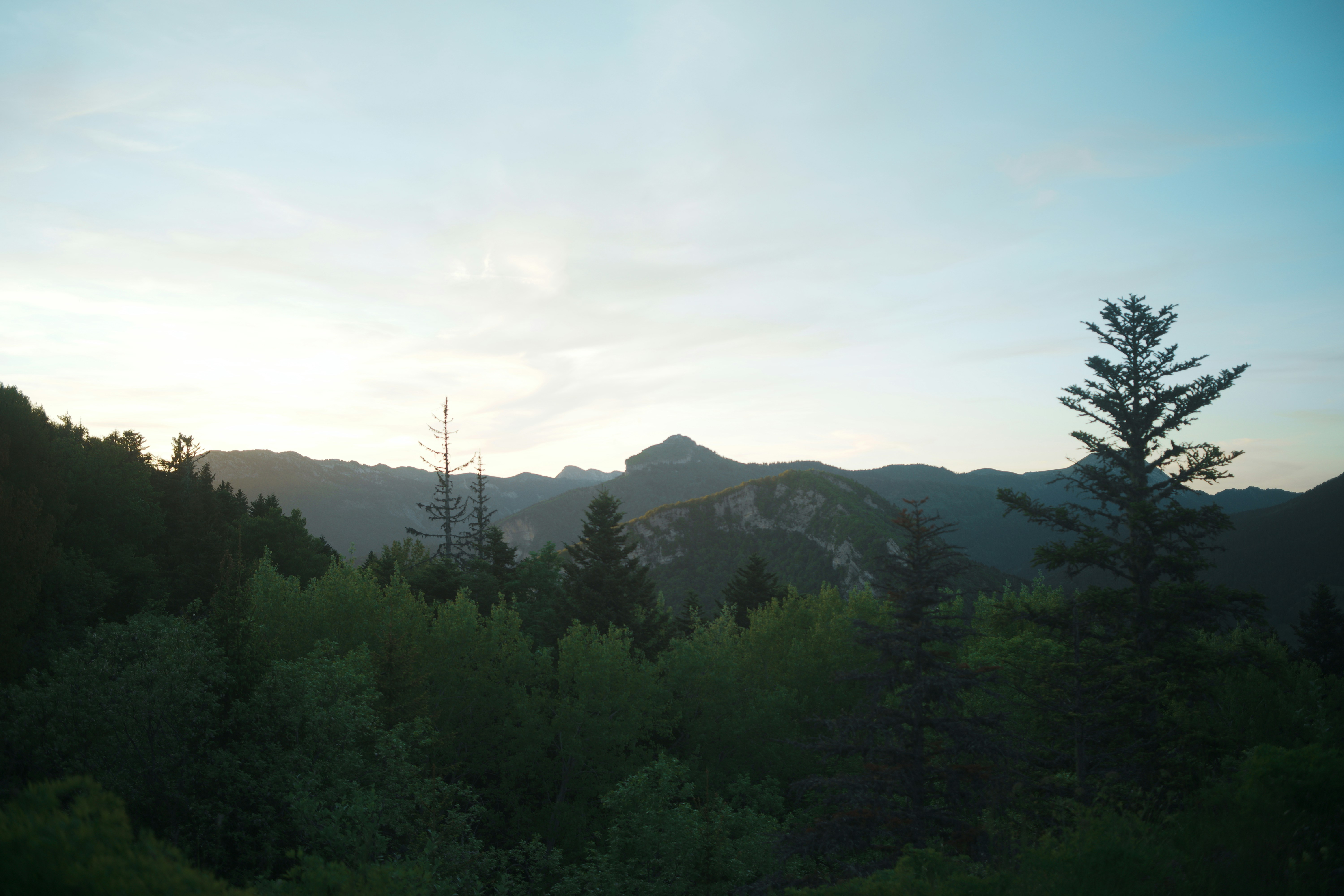 Whispers of the Mountain Dawn