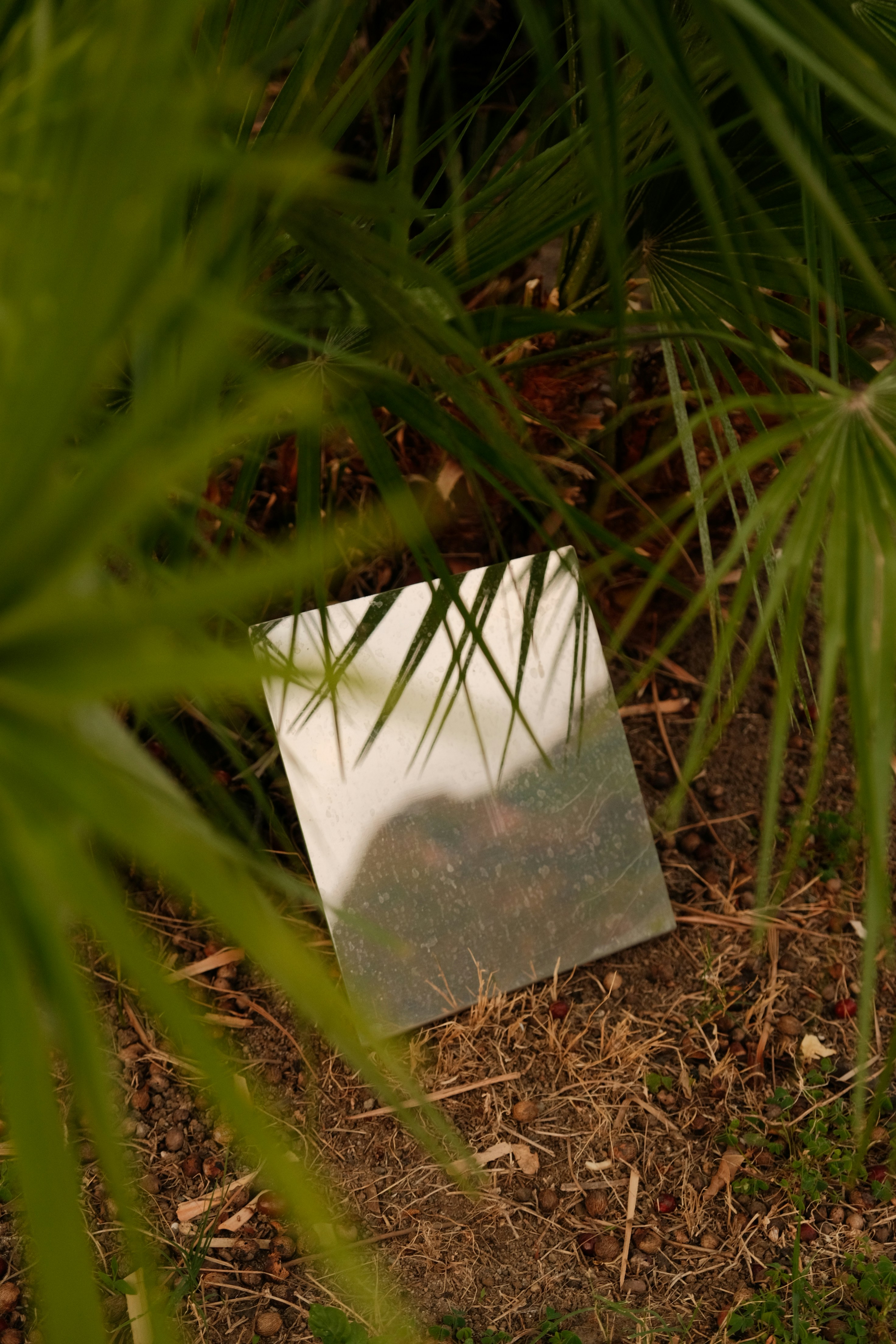 Reflections in the Green: A Hidden Perspective