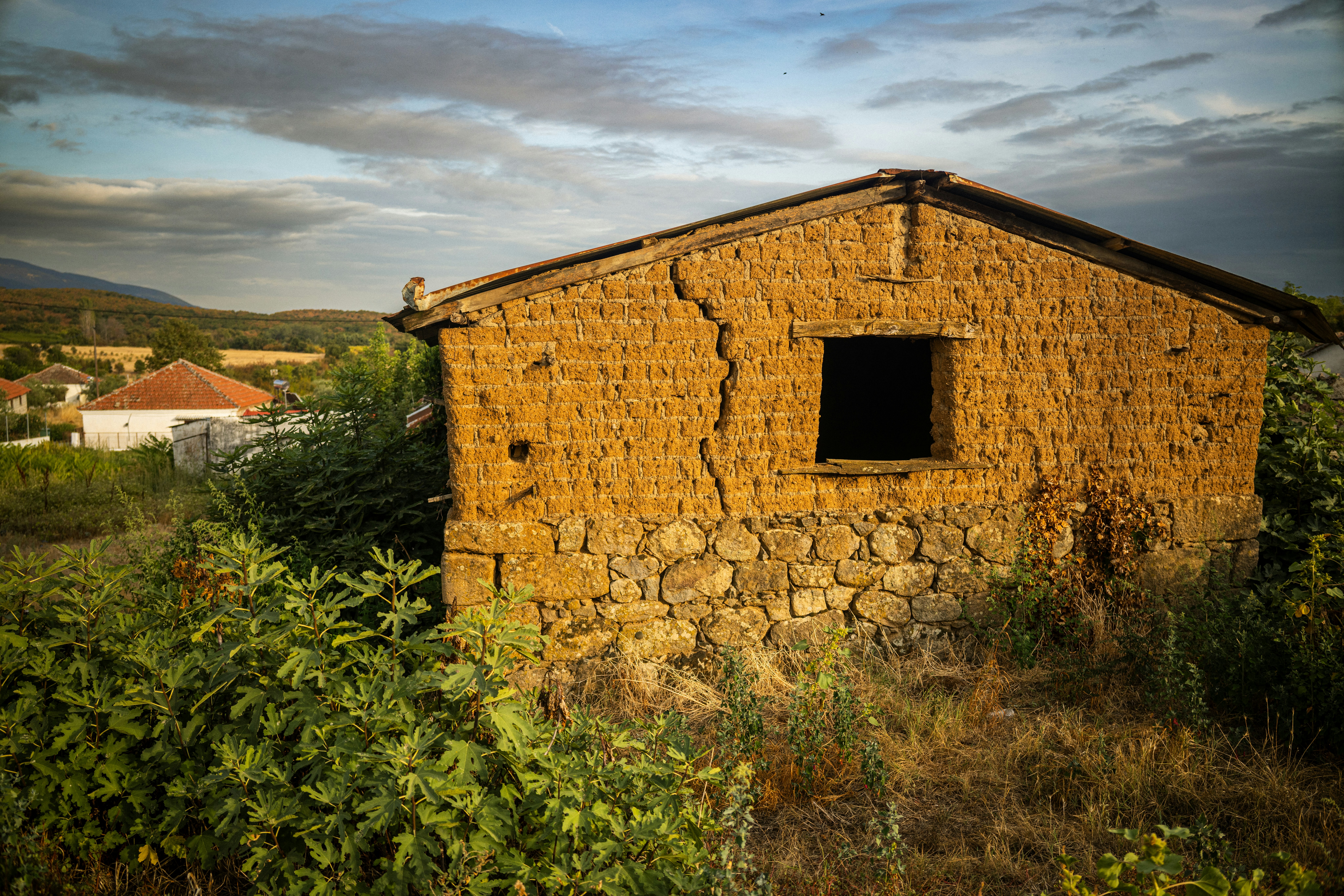Old adobe house with overgrown vegetation