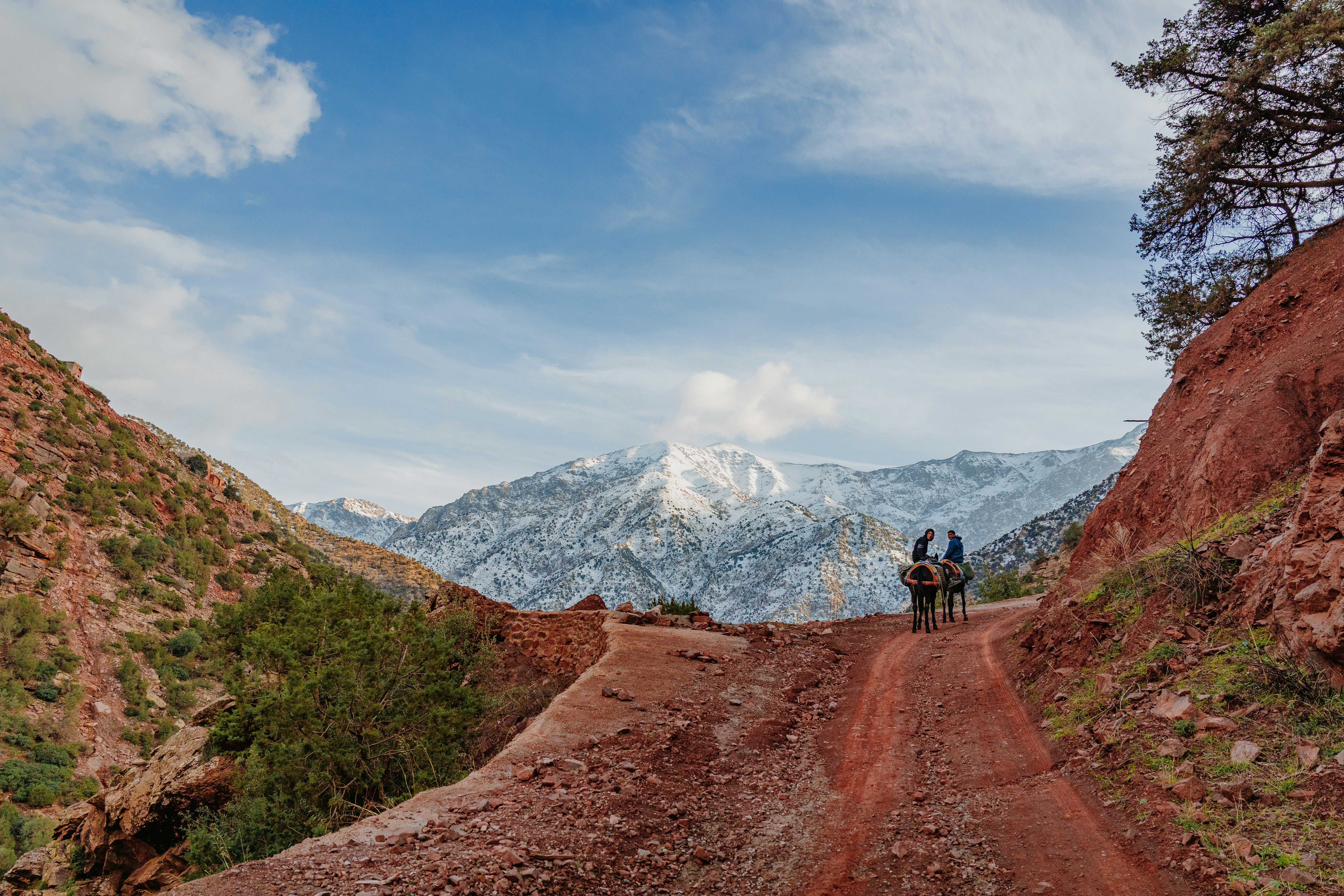 Two boys on their donkeys roaming the Atlas mountains. | Two people on donkeys travel a dirt path towards mountains.