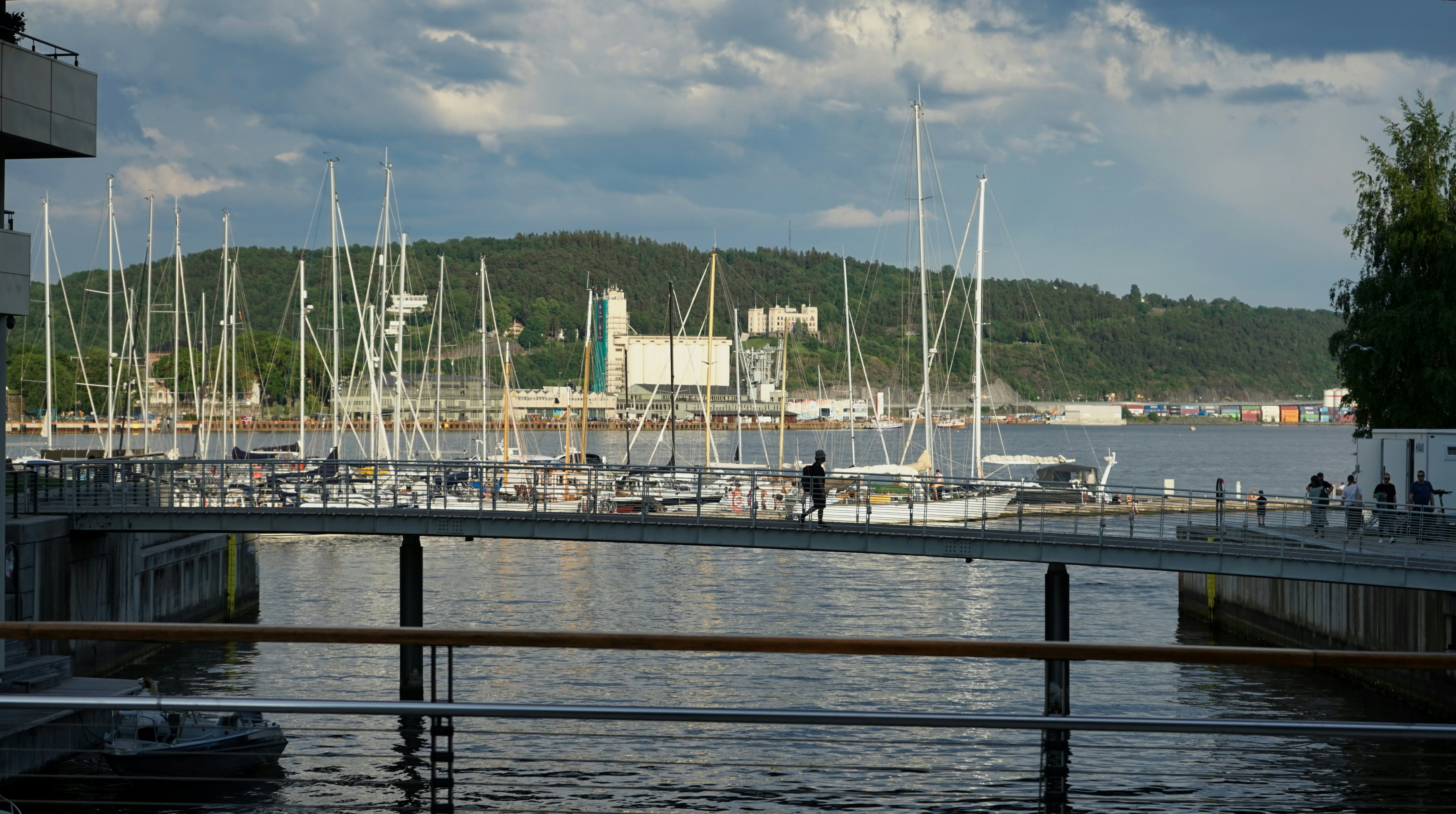 Sailboats docked in a harbor with hills beyond.