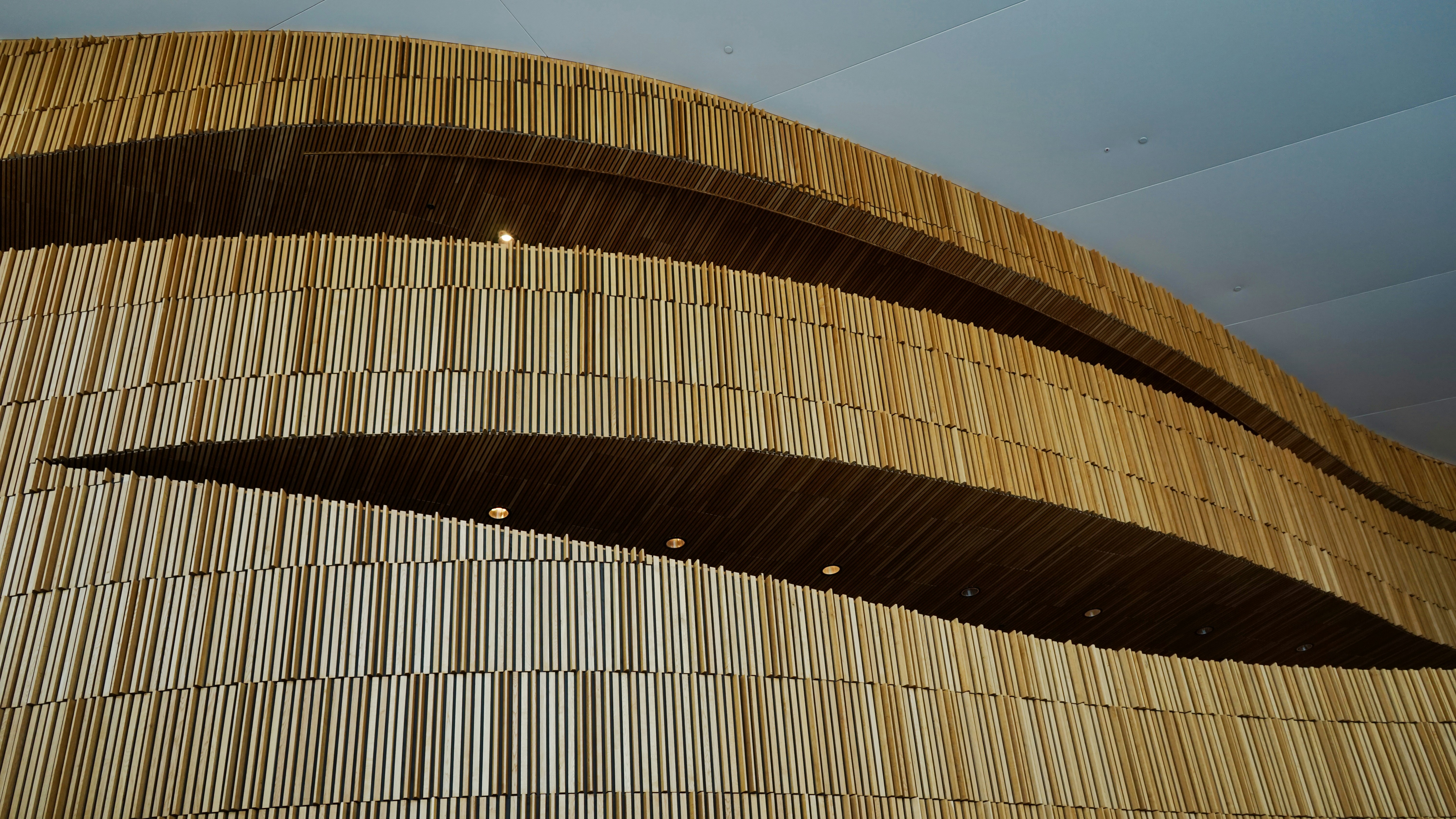 Curving wooden slats form a modern architectural design.
