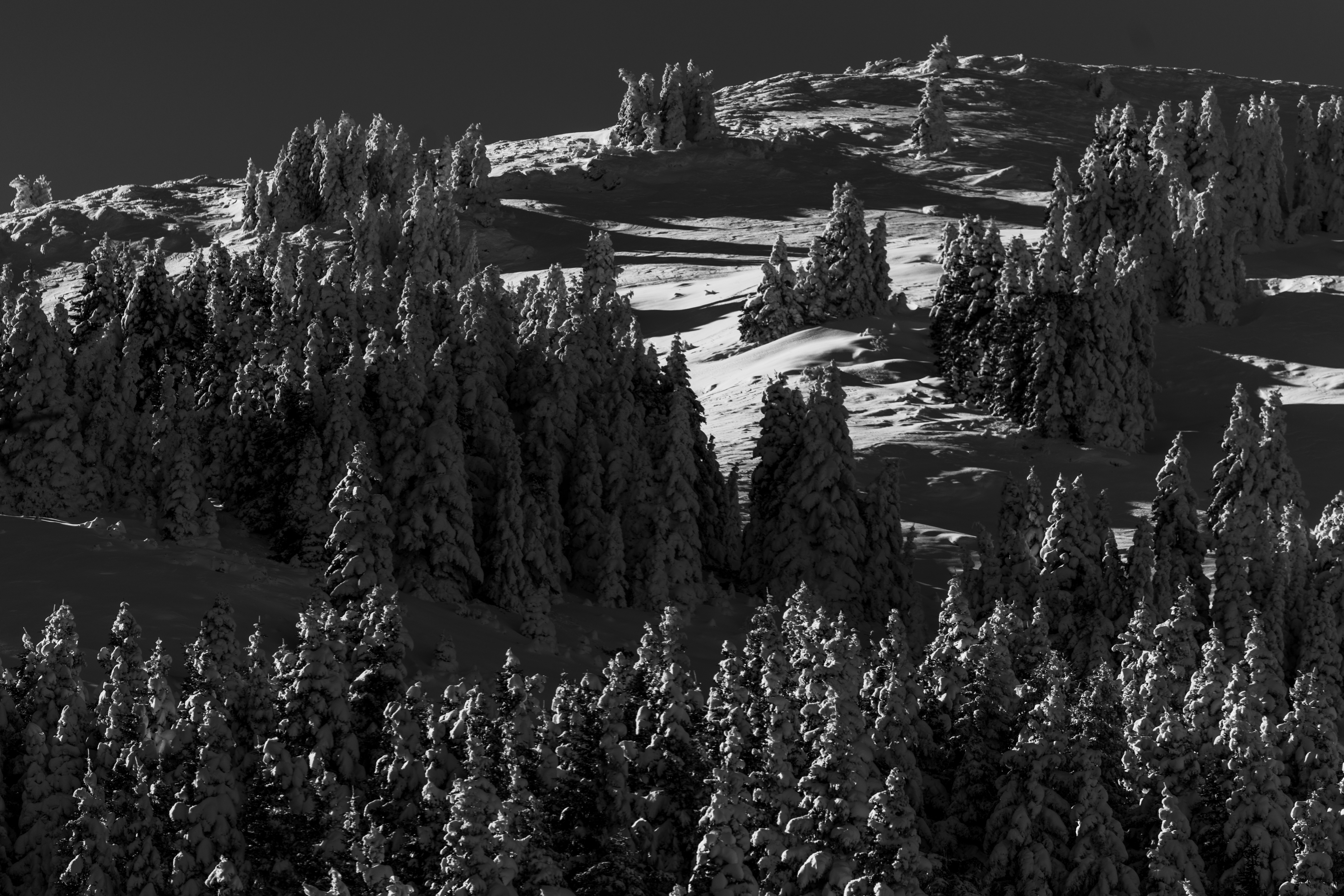 Silent Shadows of the Winter Landscape