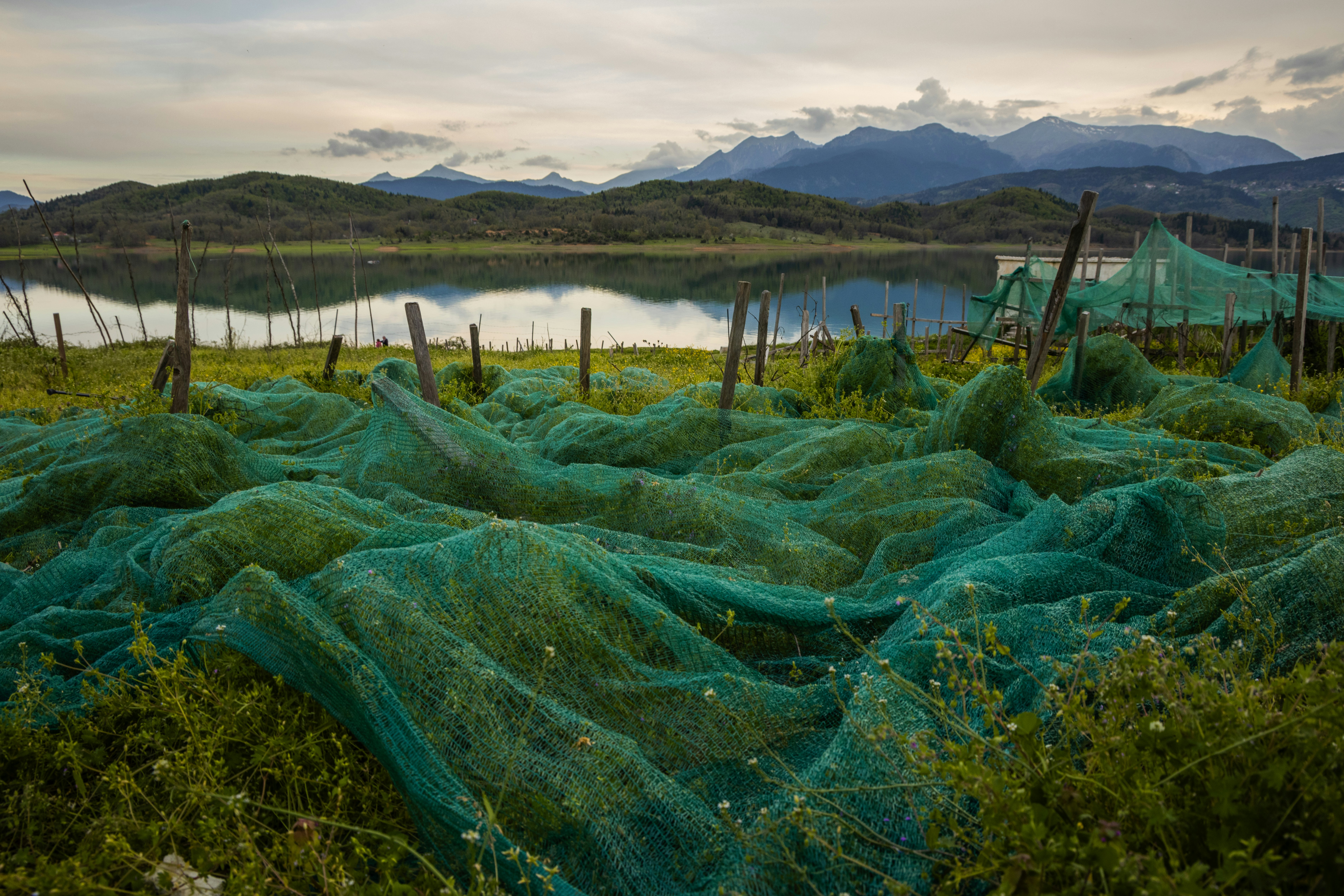 Fishing nets draped over a lush landscape with a serene lake and mountains in the background. The scene evokes a sense of calm and connection to nature.