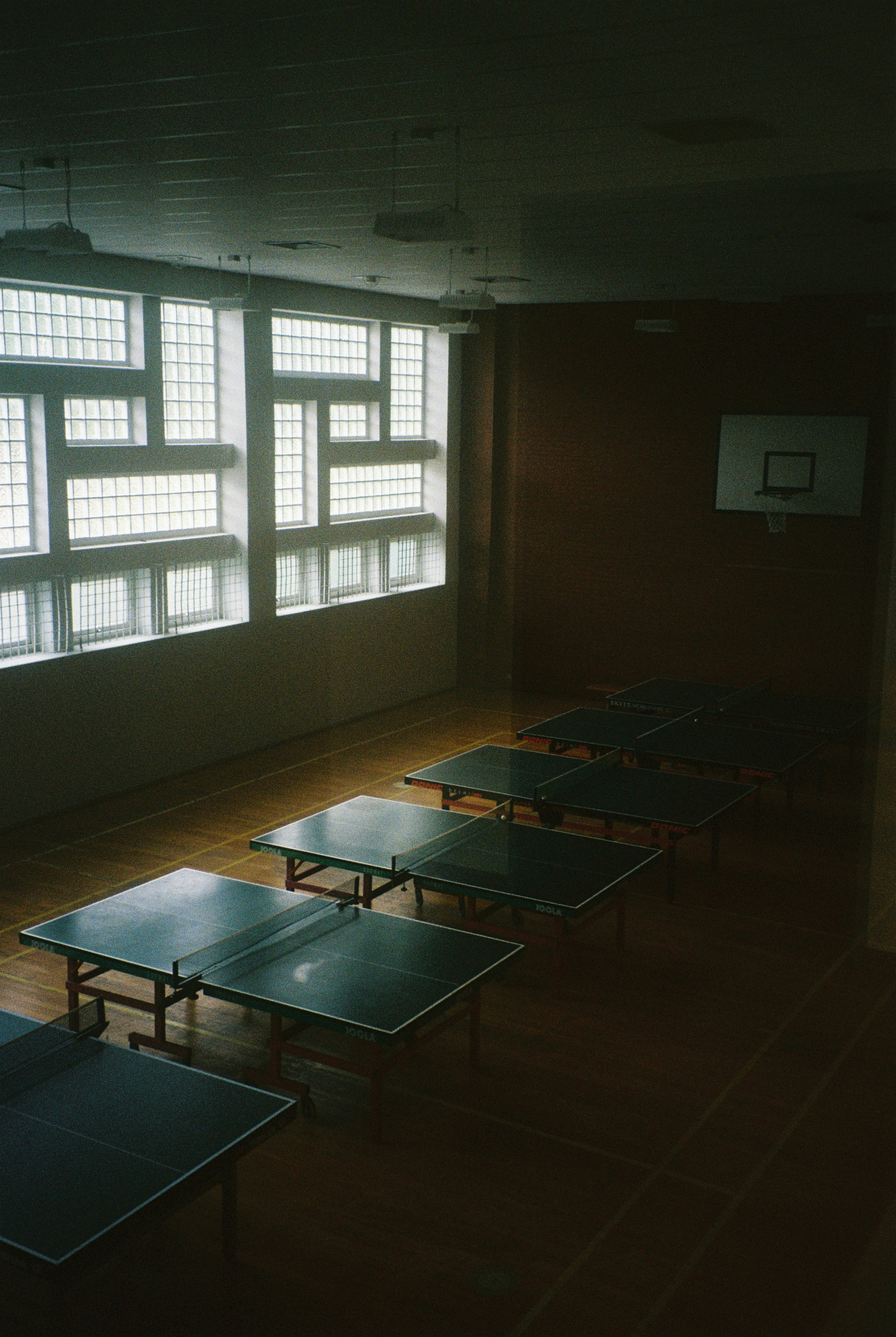 Shot on Kodak UltraMax 400 | Several ping pong tables lined up in a room