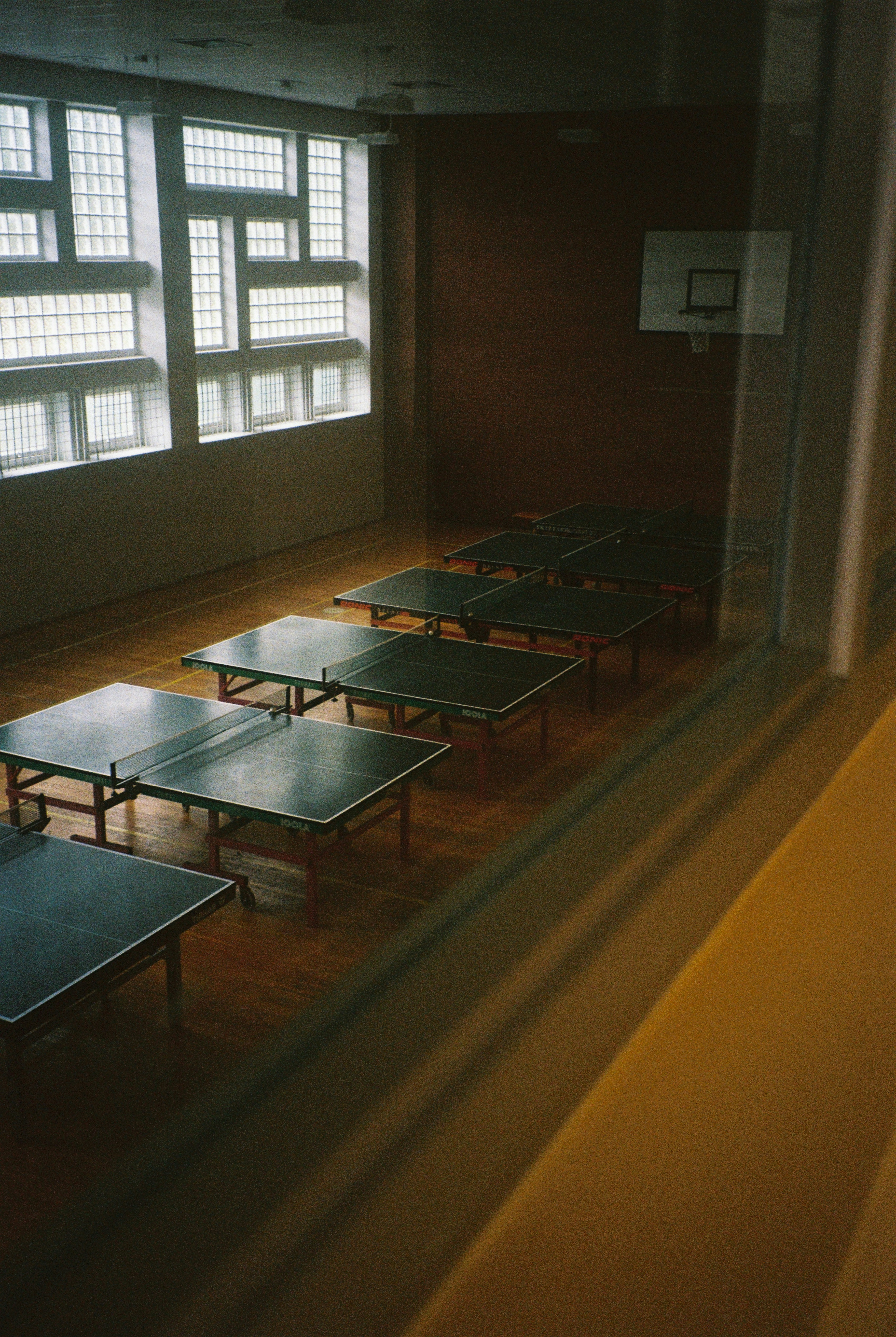 Table tennis tables arranged in a spacious gym, illuminated by natural light filtering through patterned windows.