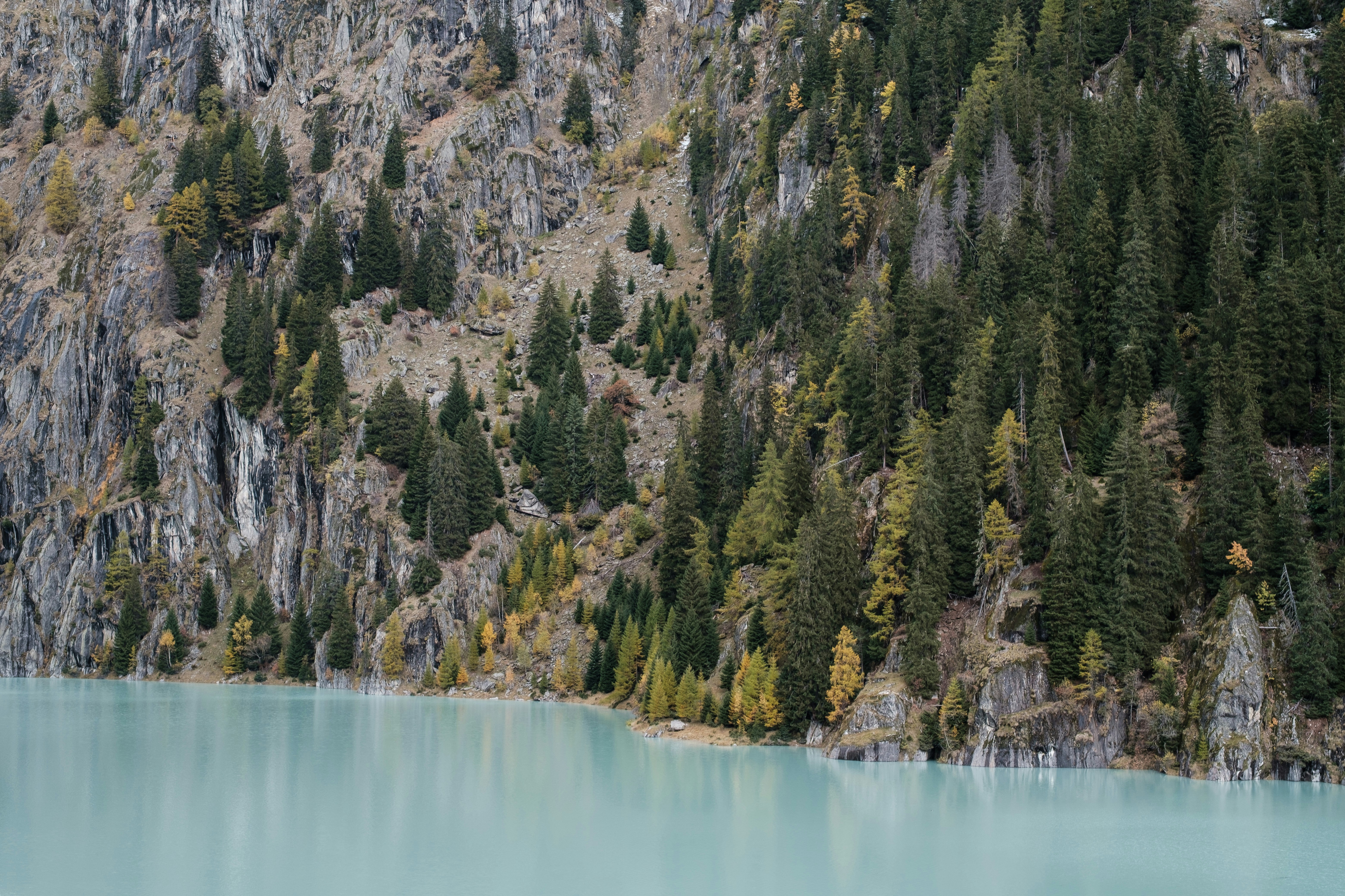Turquoise glacial lake reflecting the rocky cliffs and evergreen trees along its shore.