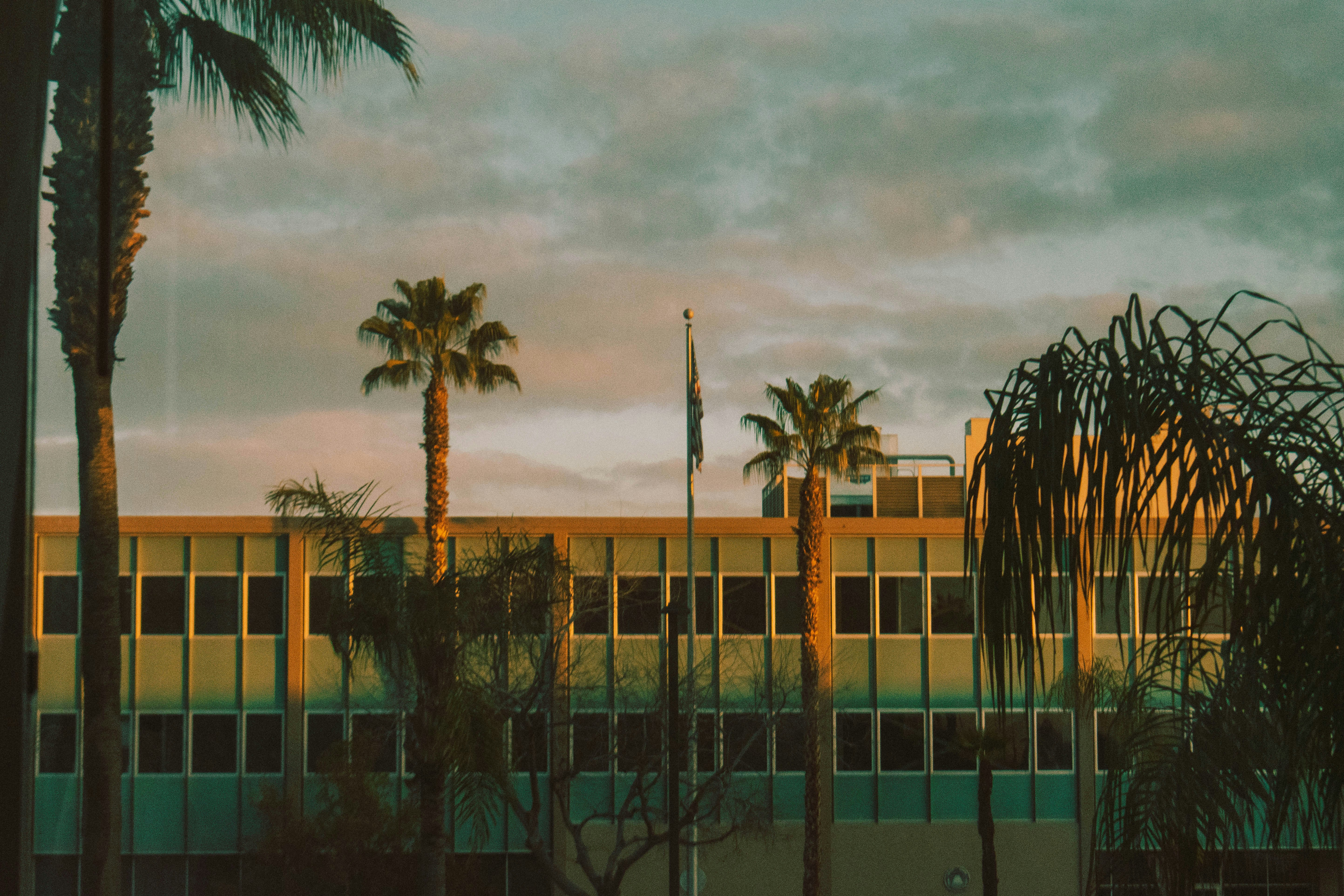 Palm trees in front of a building at sunset