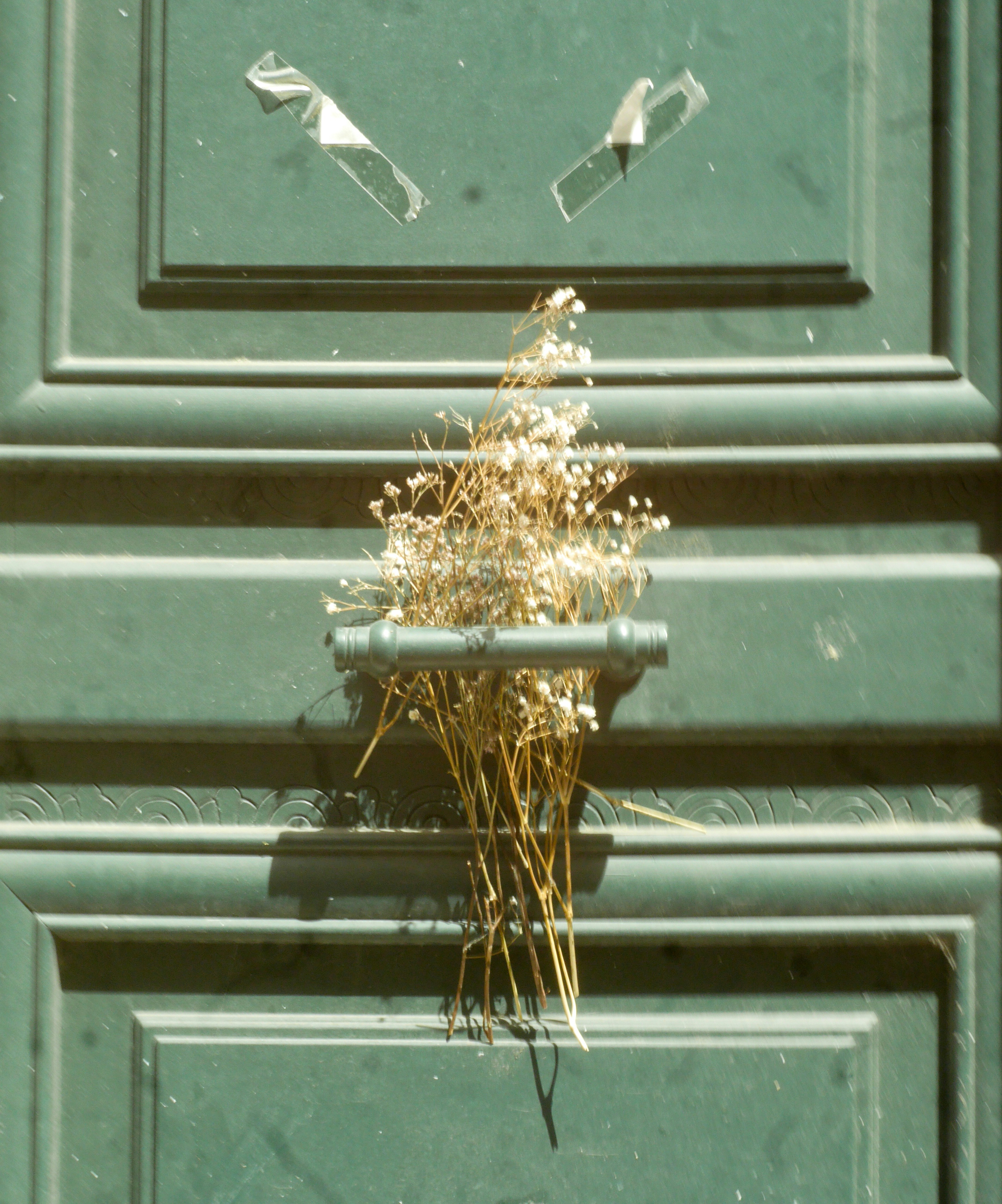 Dried flowers on a green door knocker