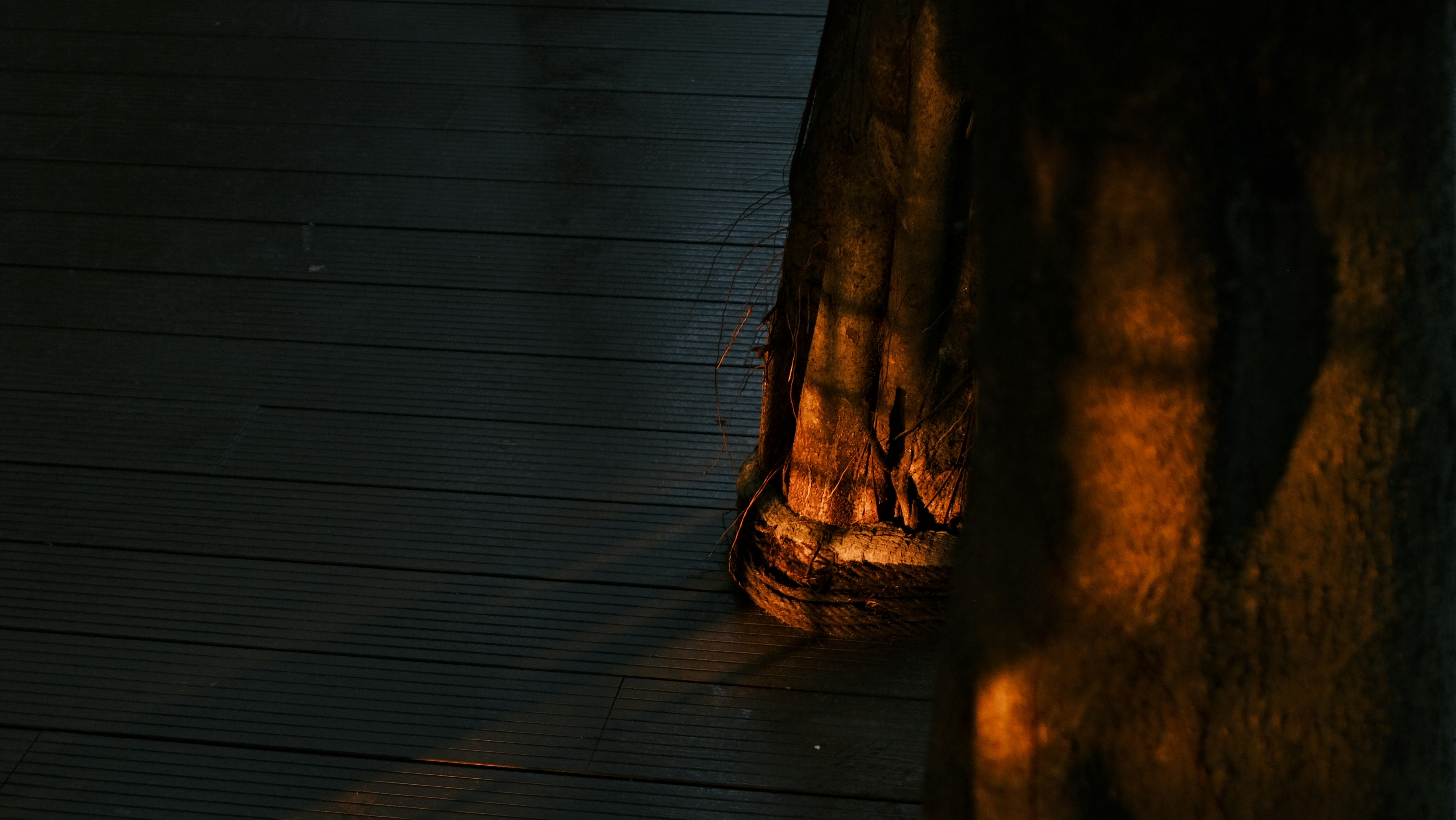 Whispers of Light on Wood