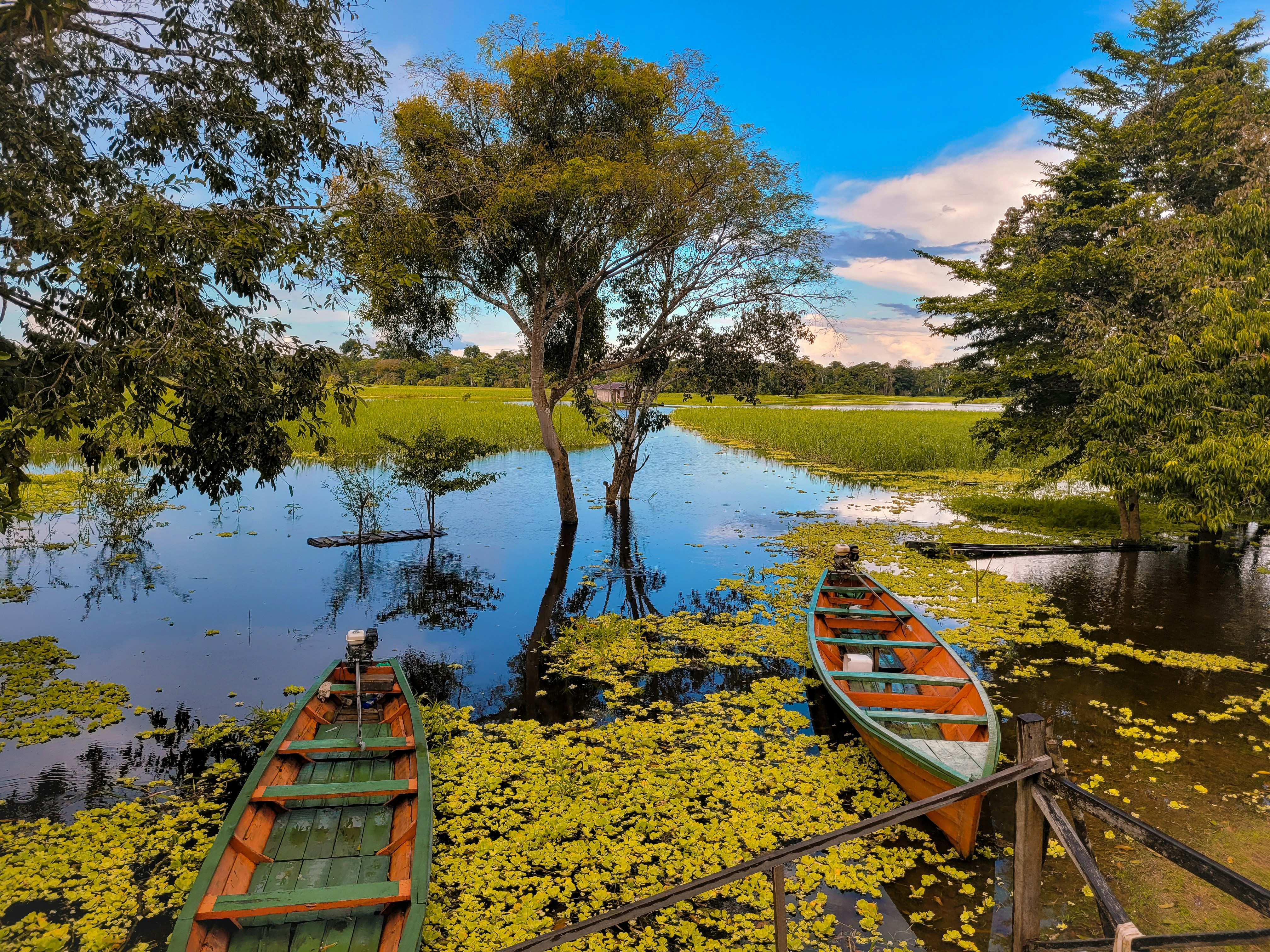 Serenity Amidst the Waters