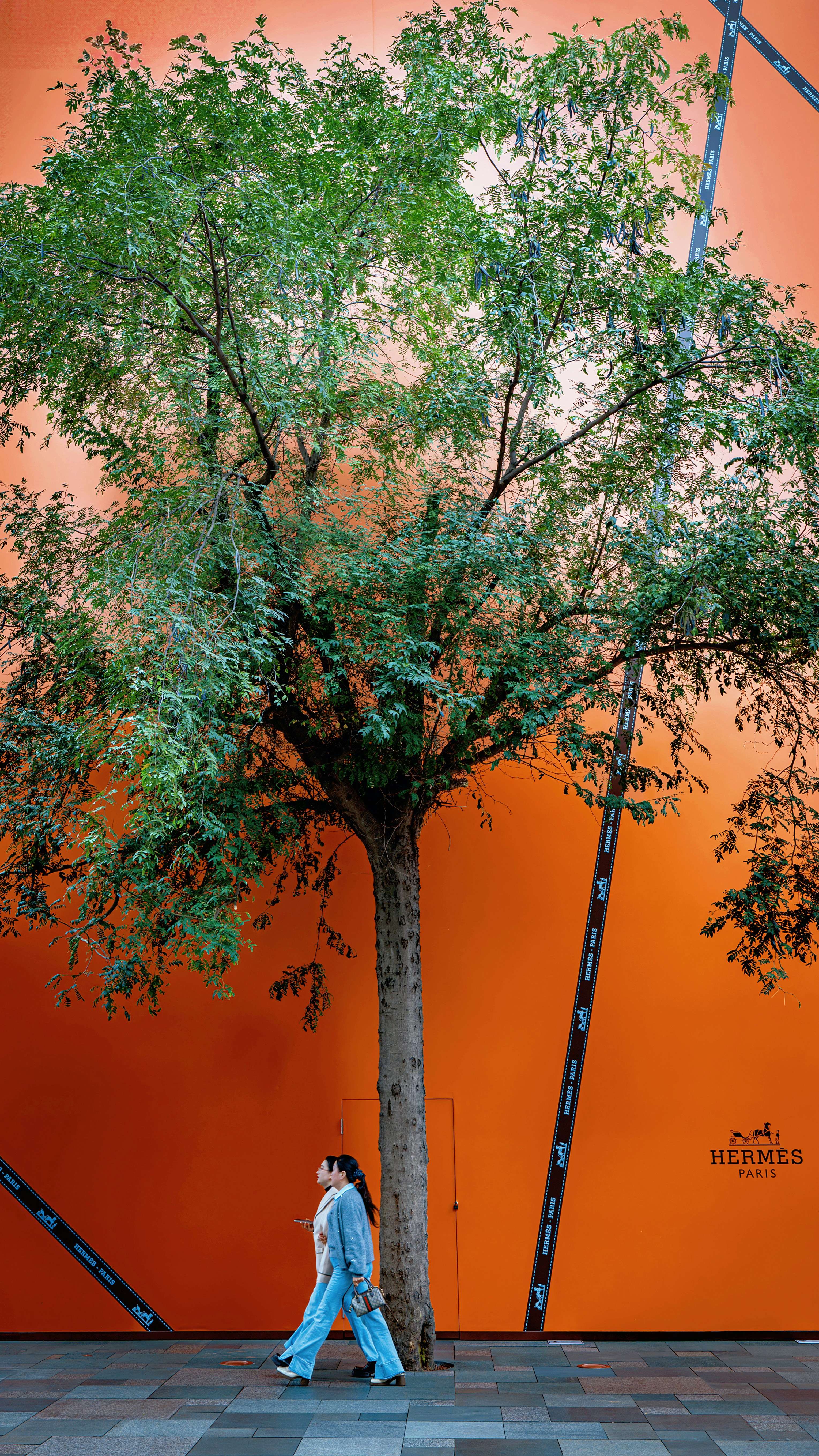 Urban Harmony: Nature Meets Design