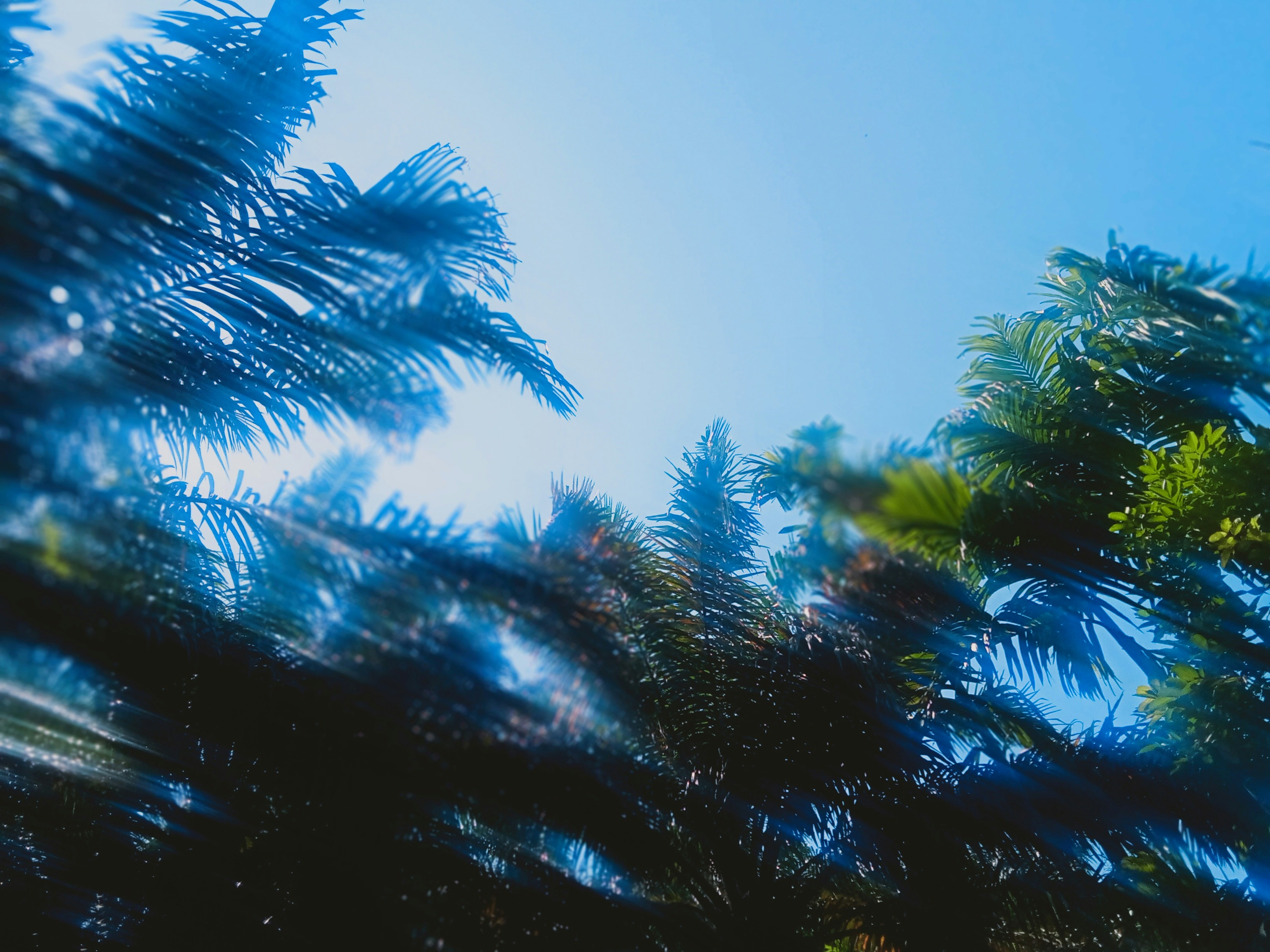 Sample photo from Oppo A16