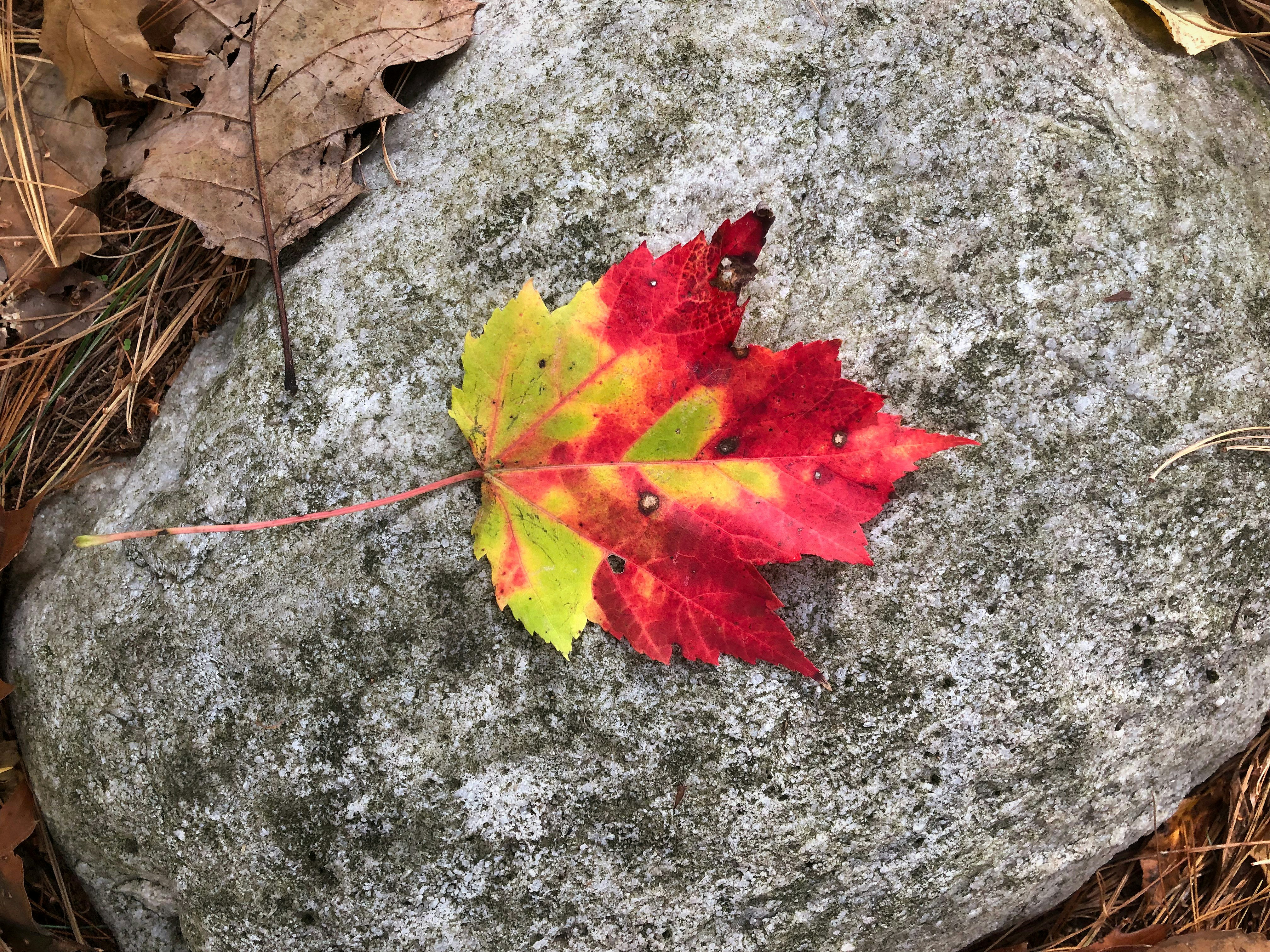 Micah Bratt (@micahbratt) | Komunitas Foto Unsplash