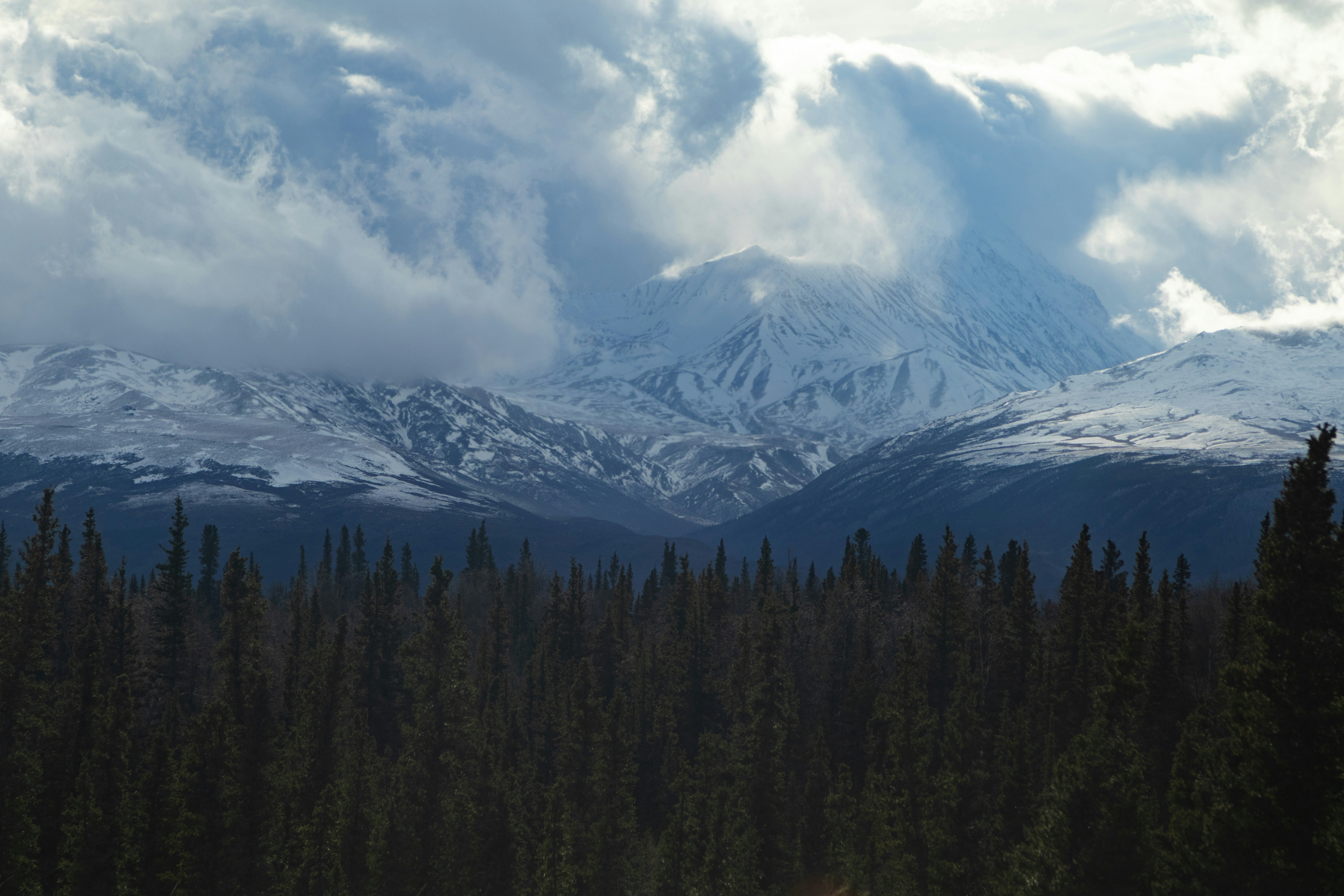 Whispers of the Alpine Wilderness