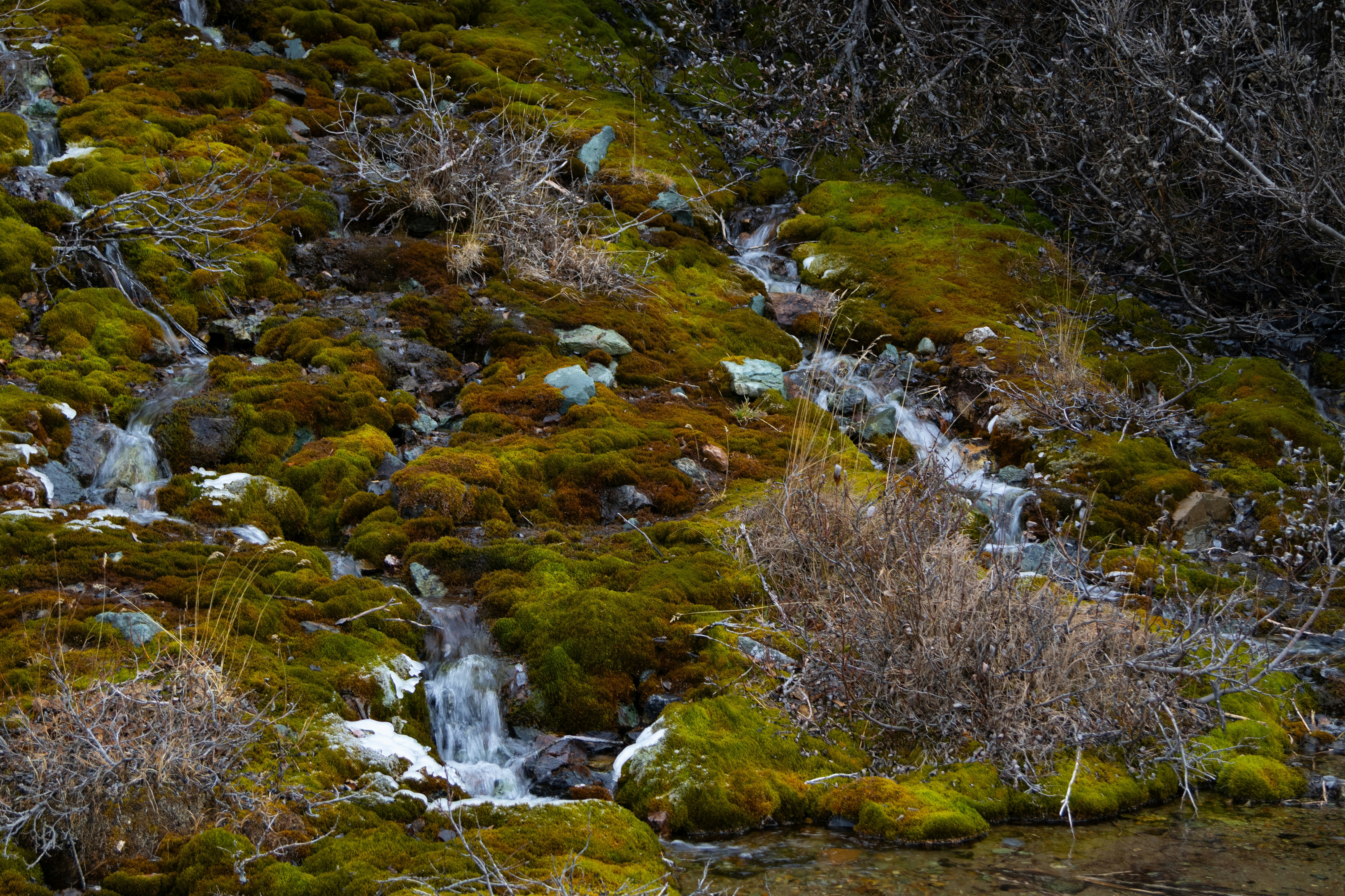 Nature's Tapestry: A Symphony of Green and Flow