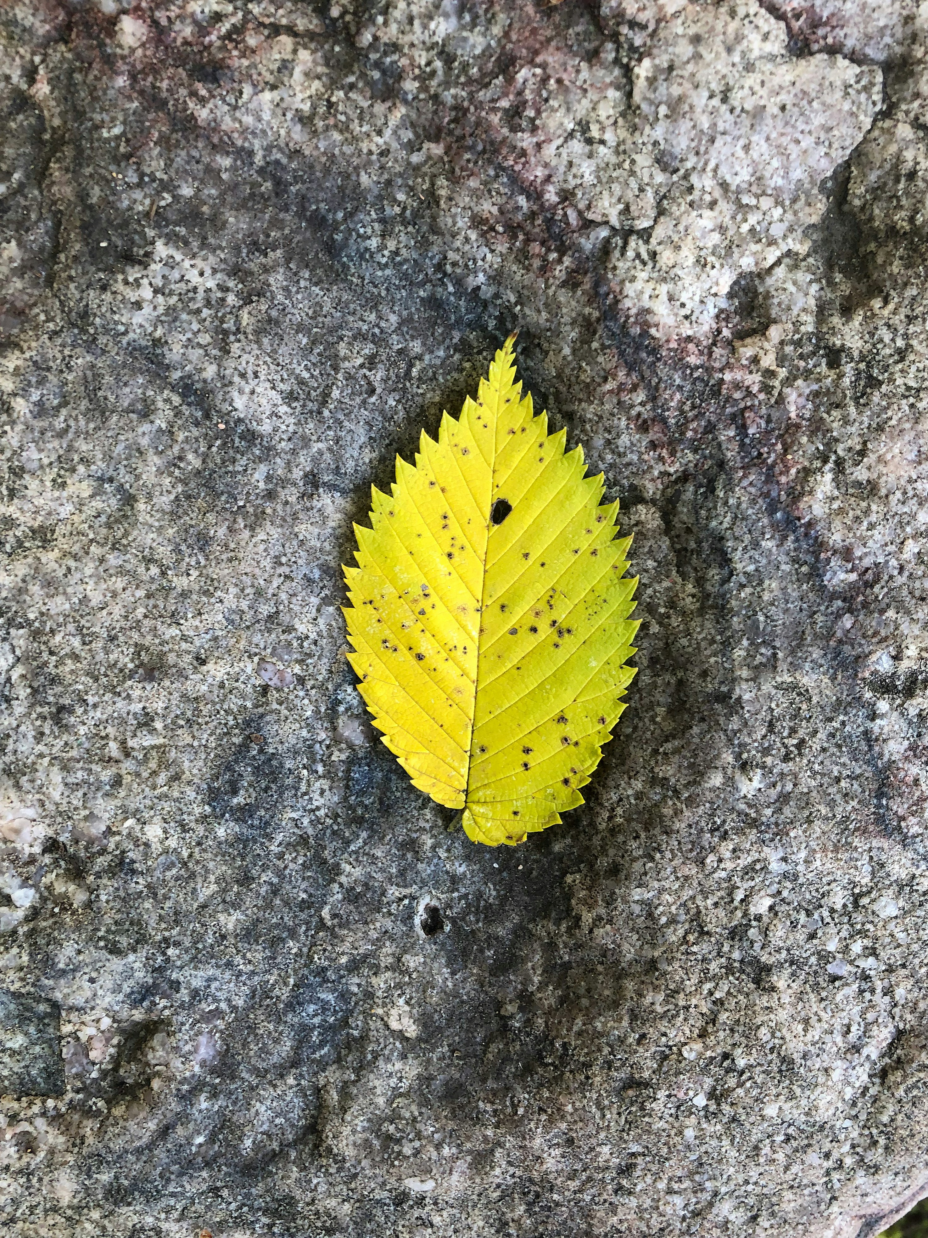 Micah Bratt (@micahbratt) | Komunitas Foto Unsplash